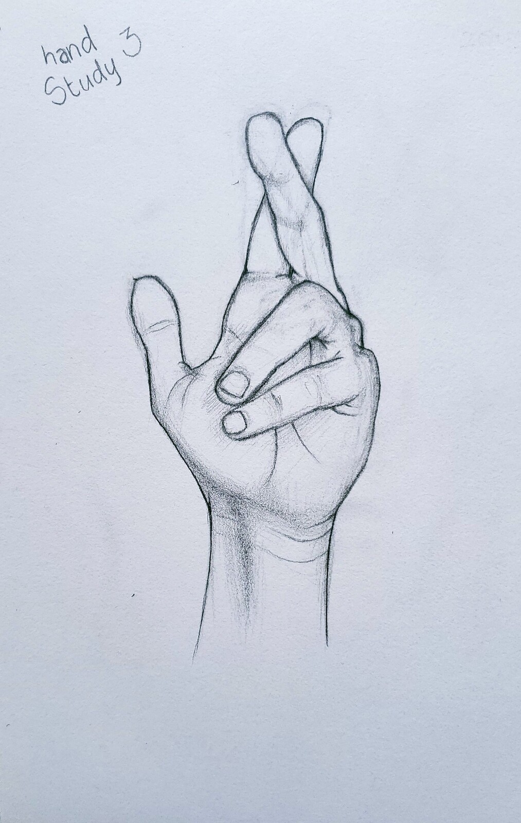 Kiran Raj - Hand Study - Seneca College