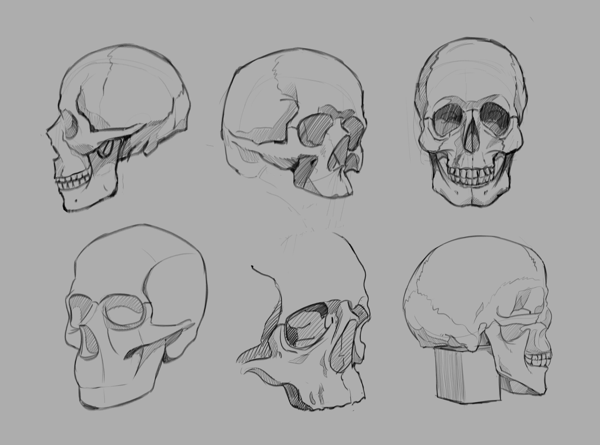 ArtStation - Skull Studies