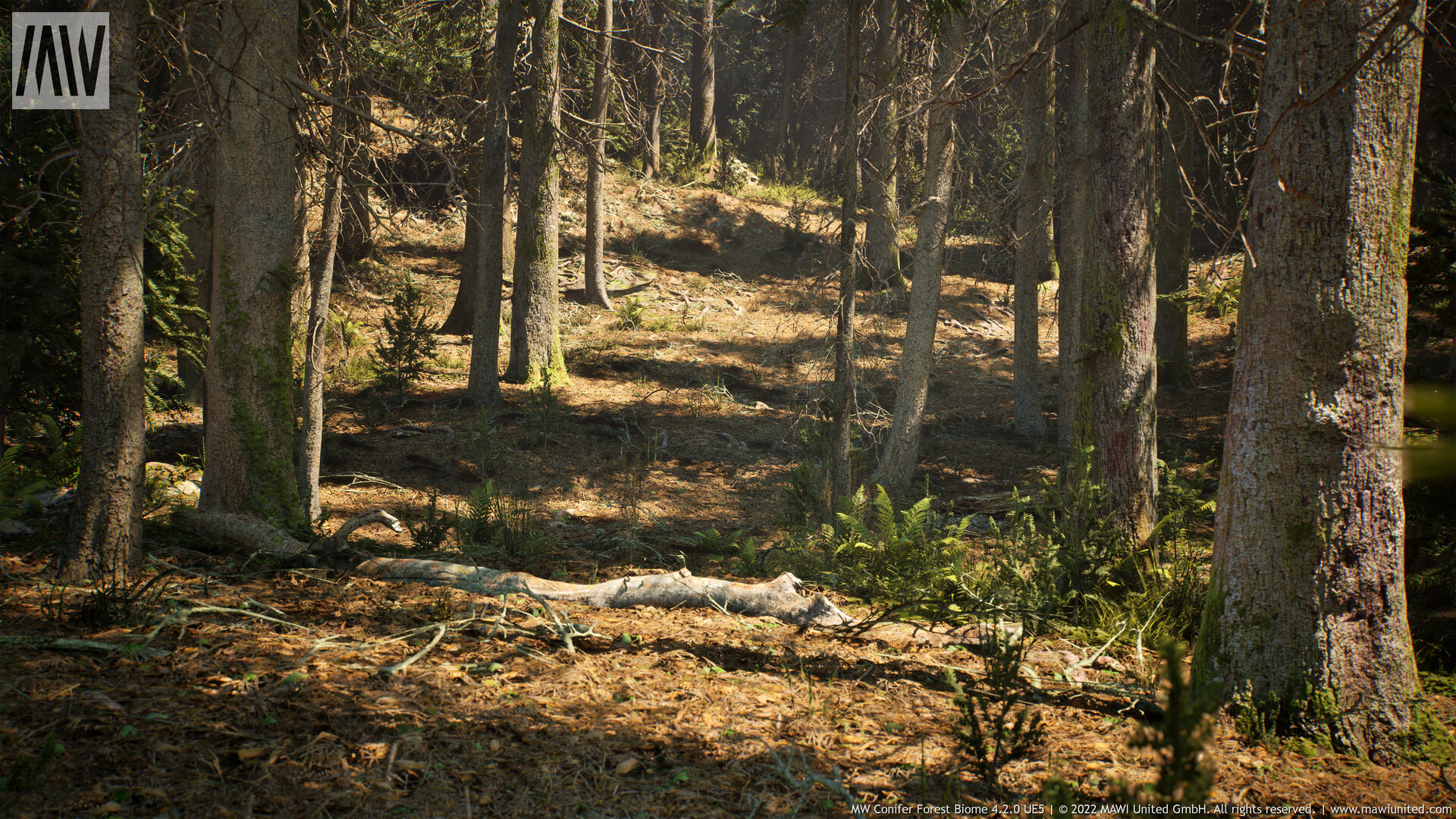 MAWI United - UE5 Conifer Forest V4.2.0 Runtime Demo