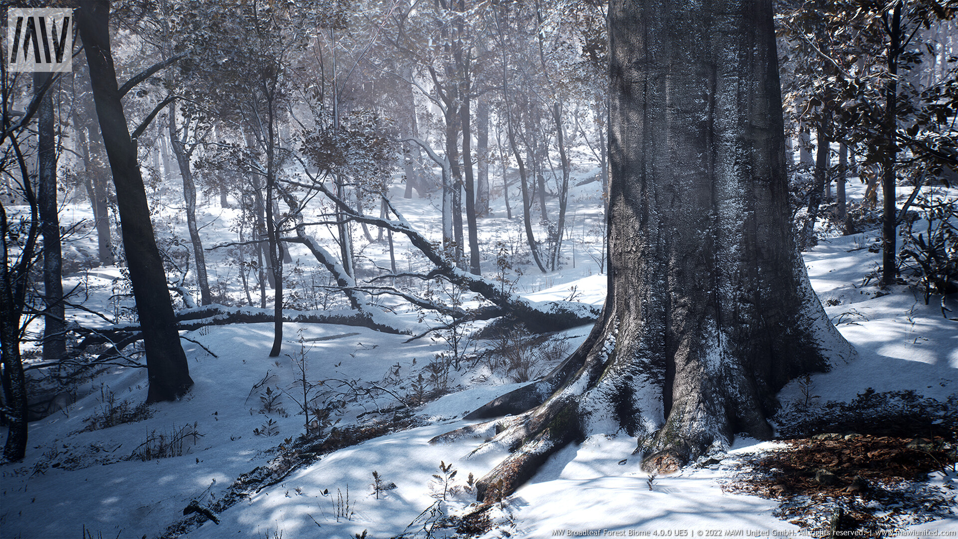 MAWI United - UE5 Broadleaf Forest V4 Winter