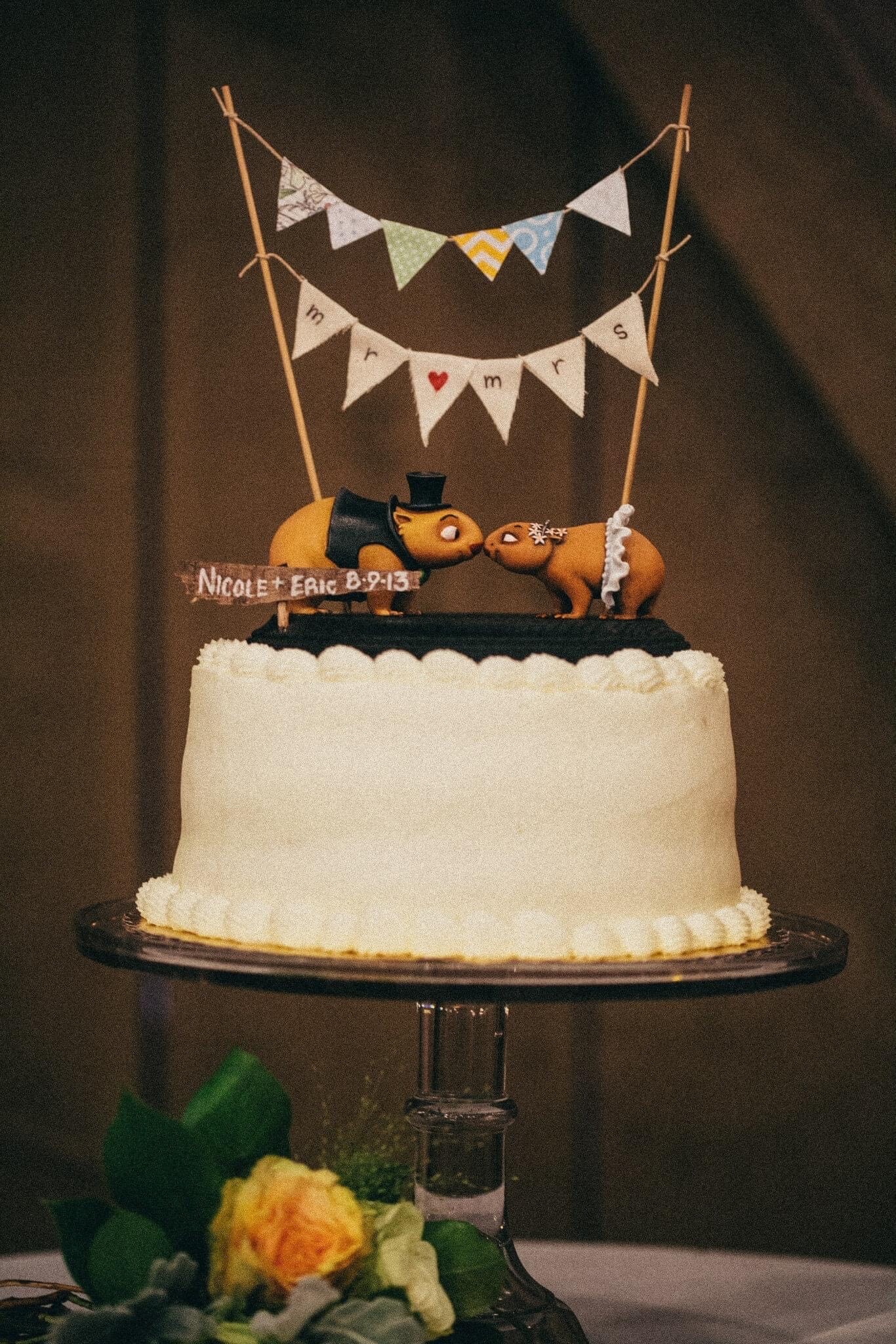 wombat cake ideas