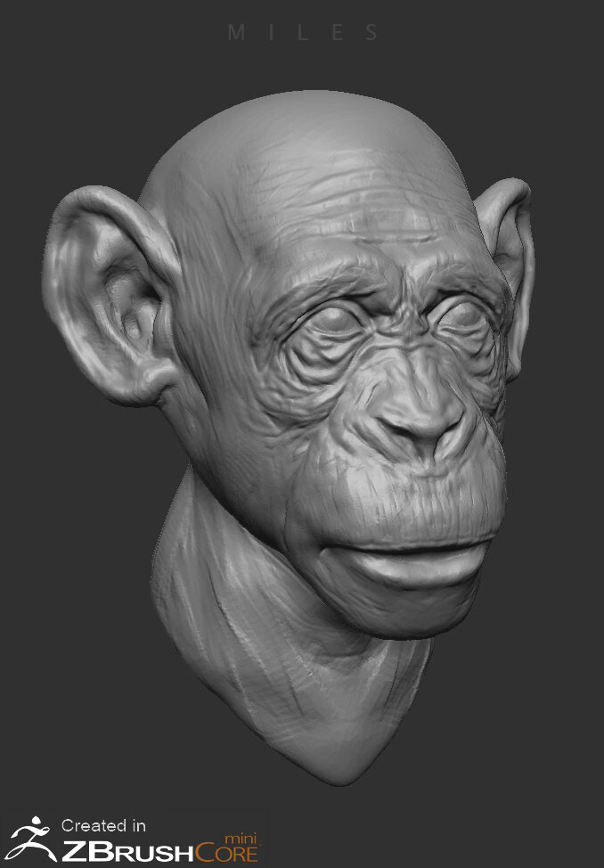 ArtStation - monkey