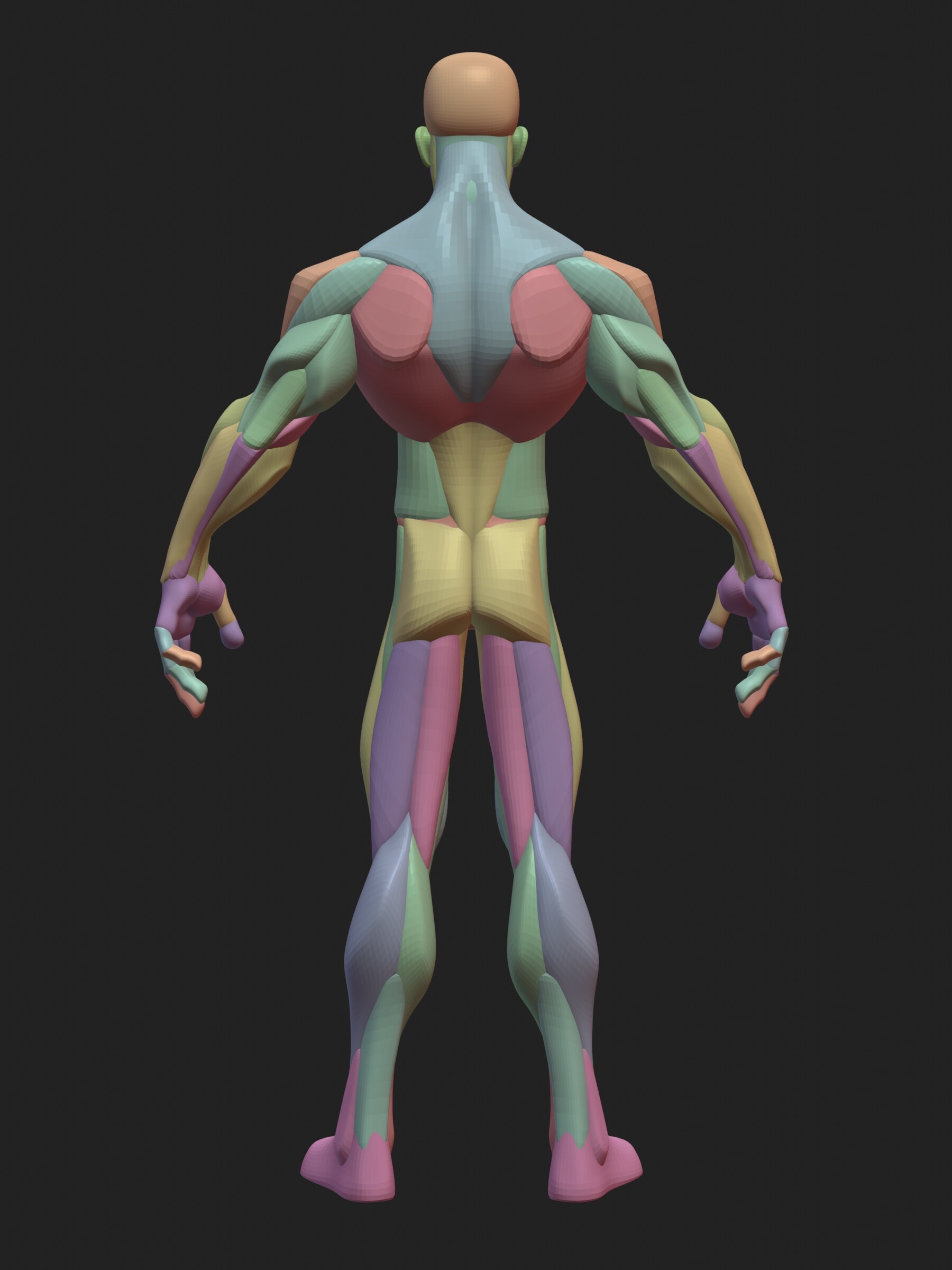 George Zaky - Stylized Average Anatomy Blockout