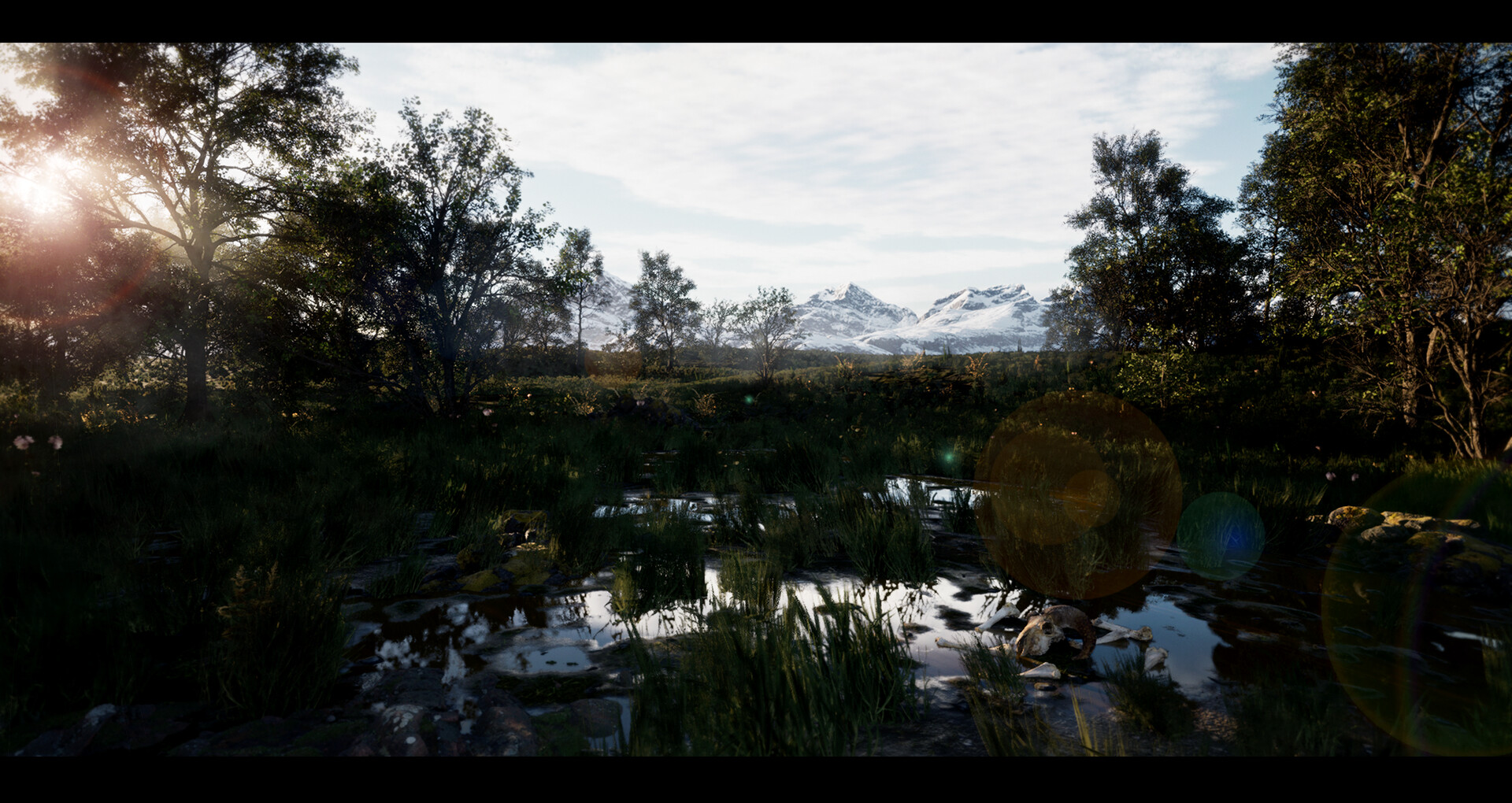 ArtStation - Sunrise