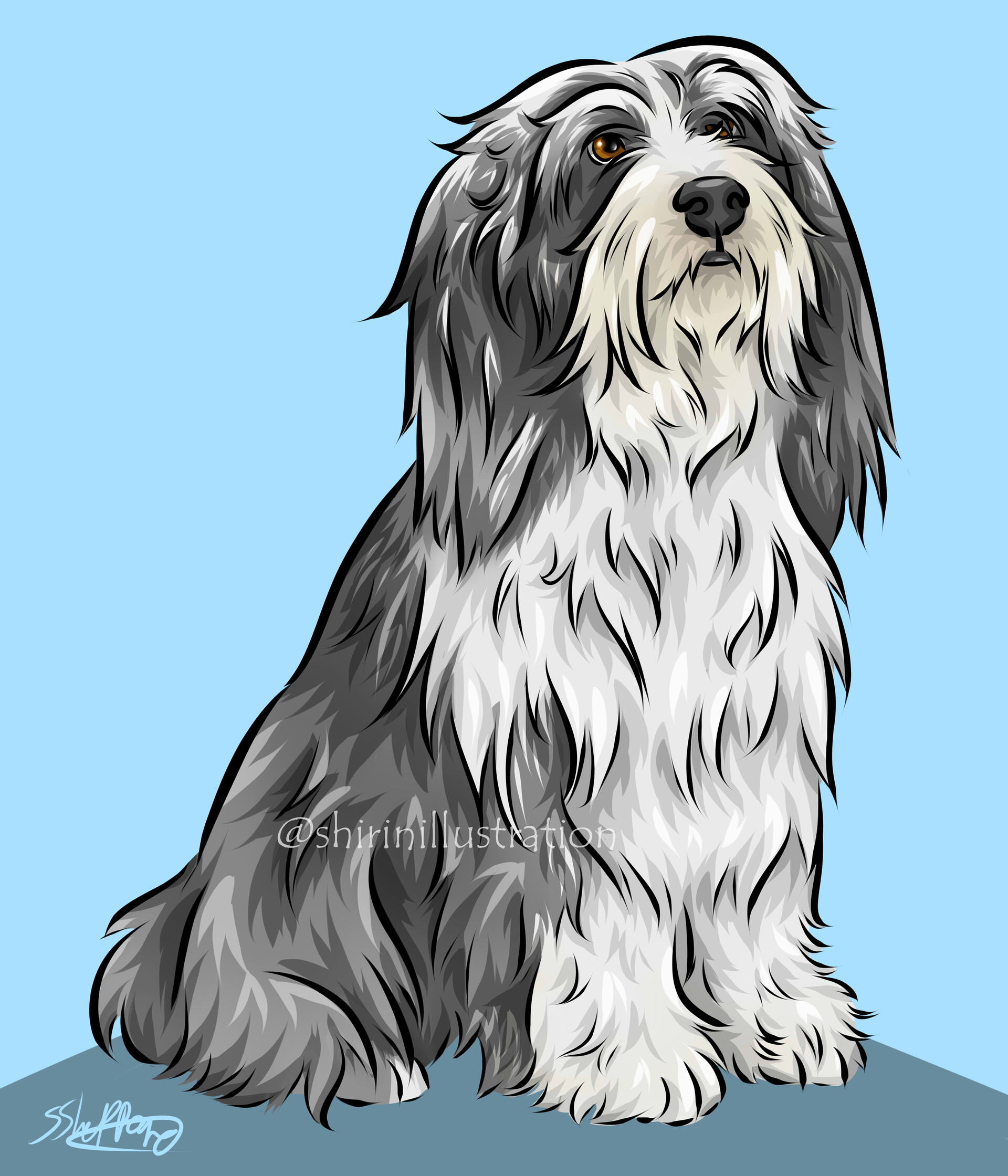 ArtStation - Bearded Collie Dog