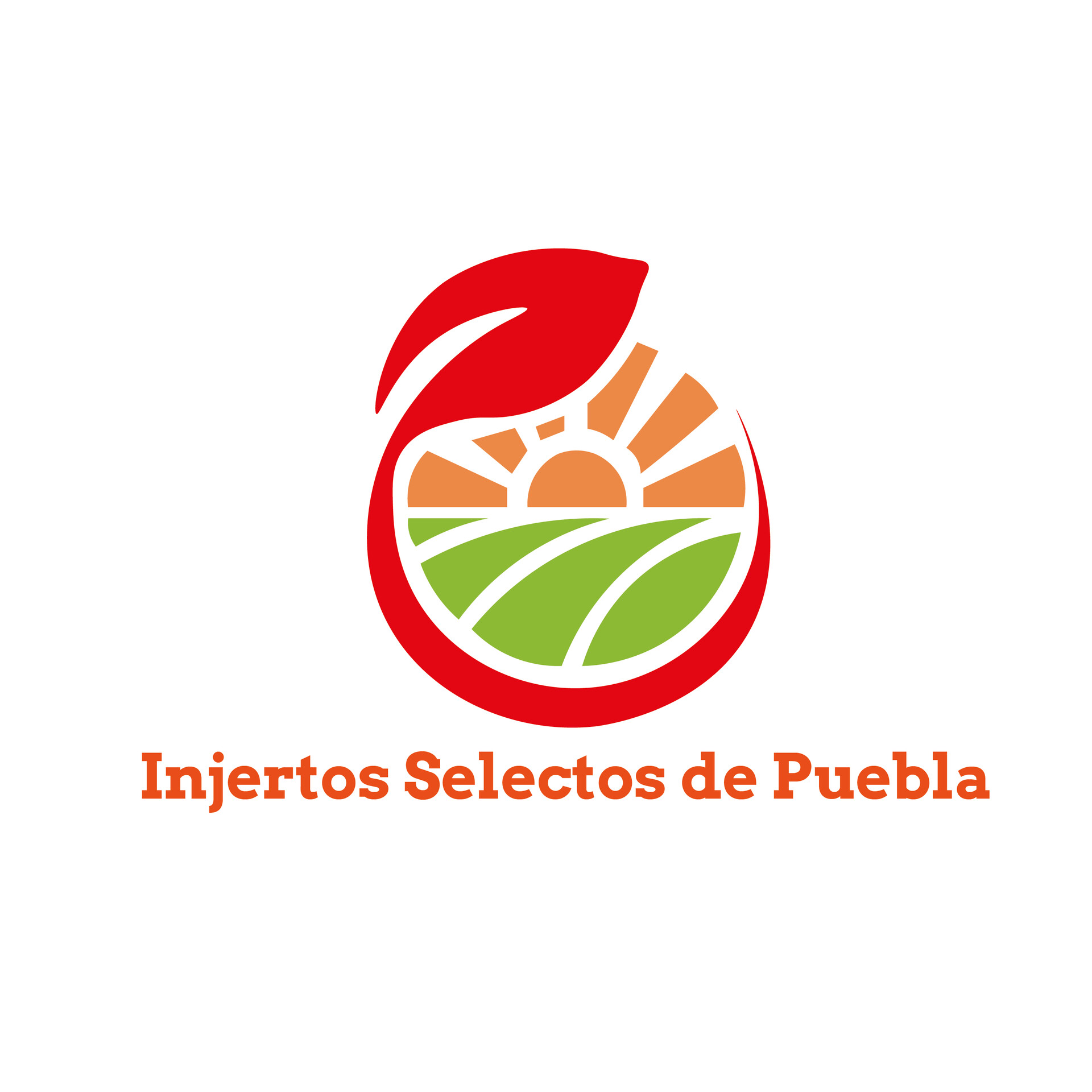 Agencia Constelá - Injertos selectos de Puebla logo 2