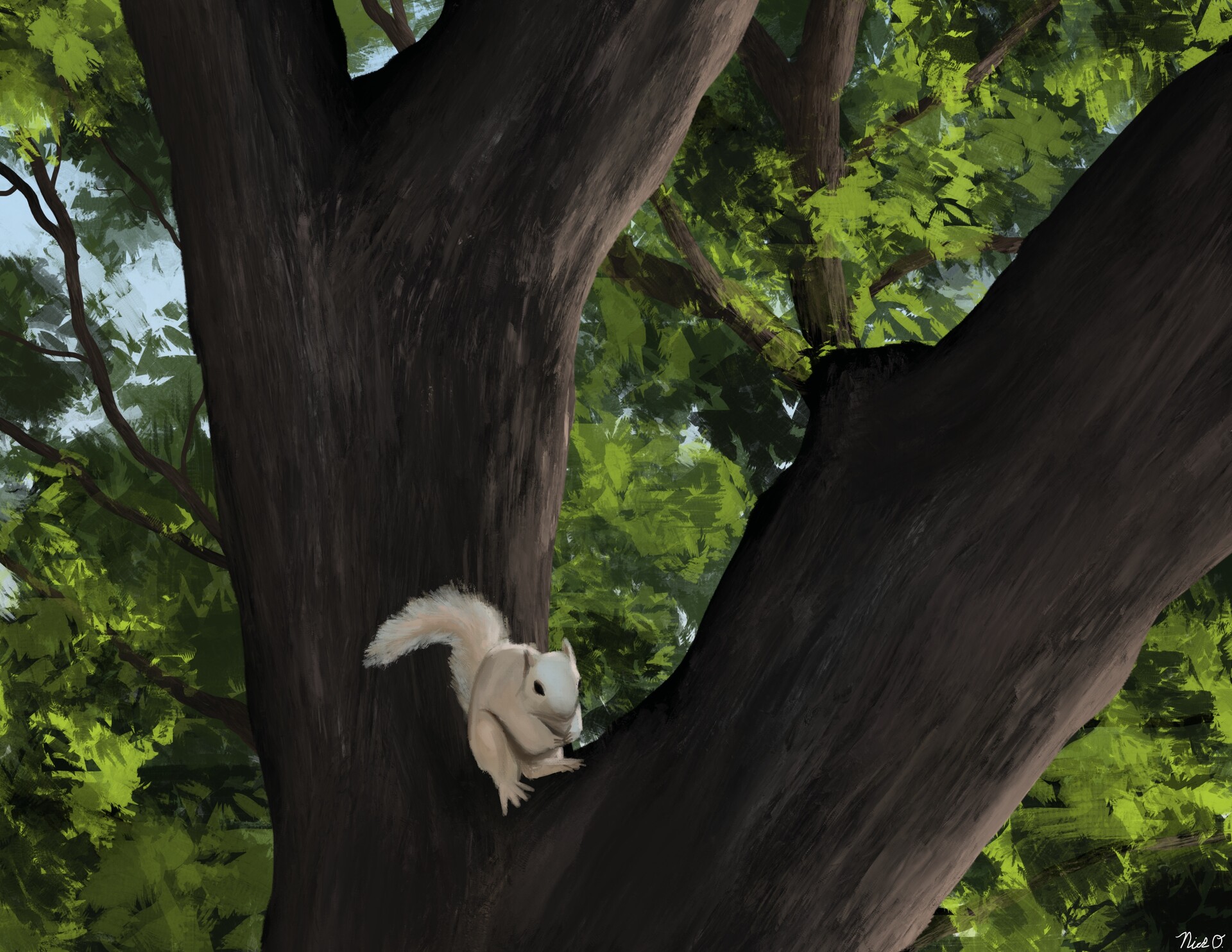 ArtStation - Albino Squirrel