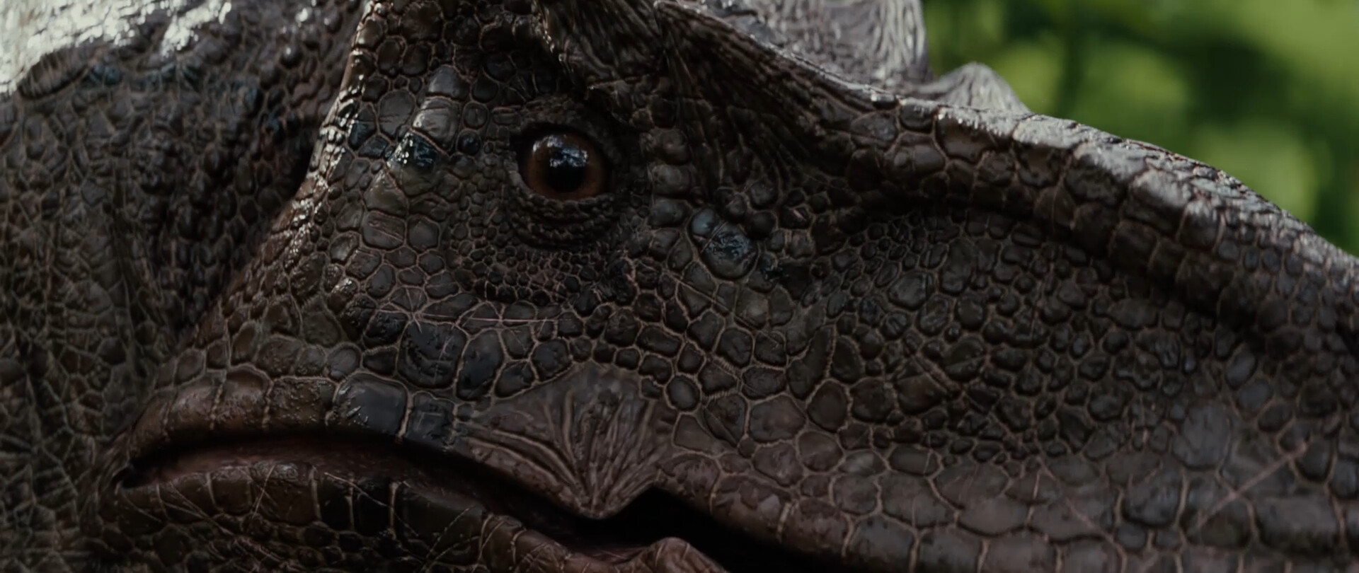 Korcan Eyigün - Realistic Raptor in Blender