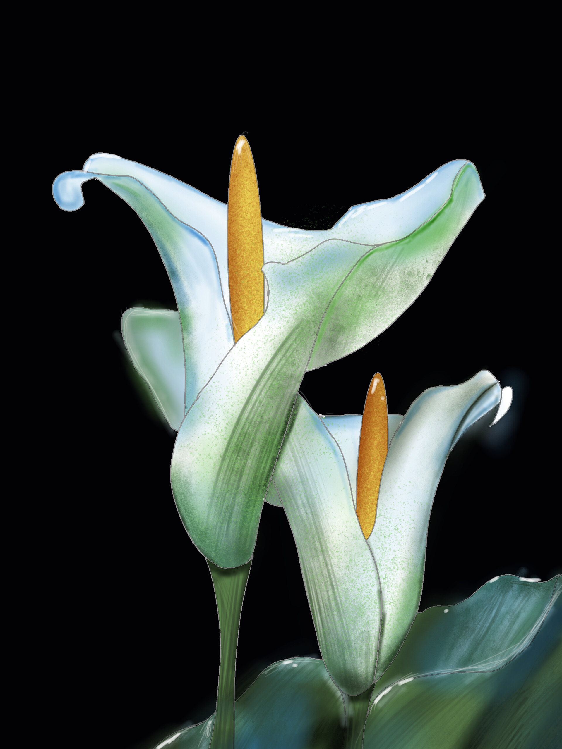 ArtStation - Flower study