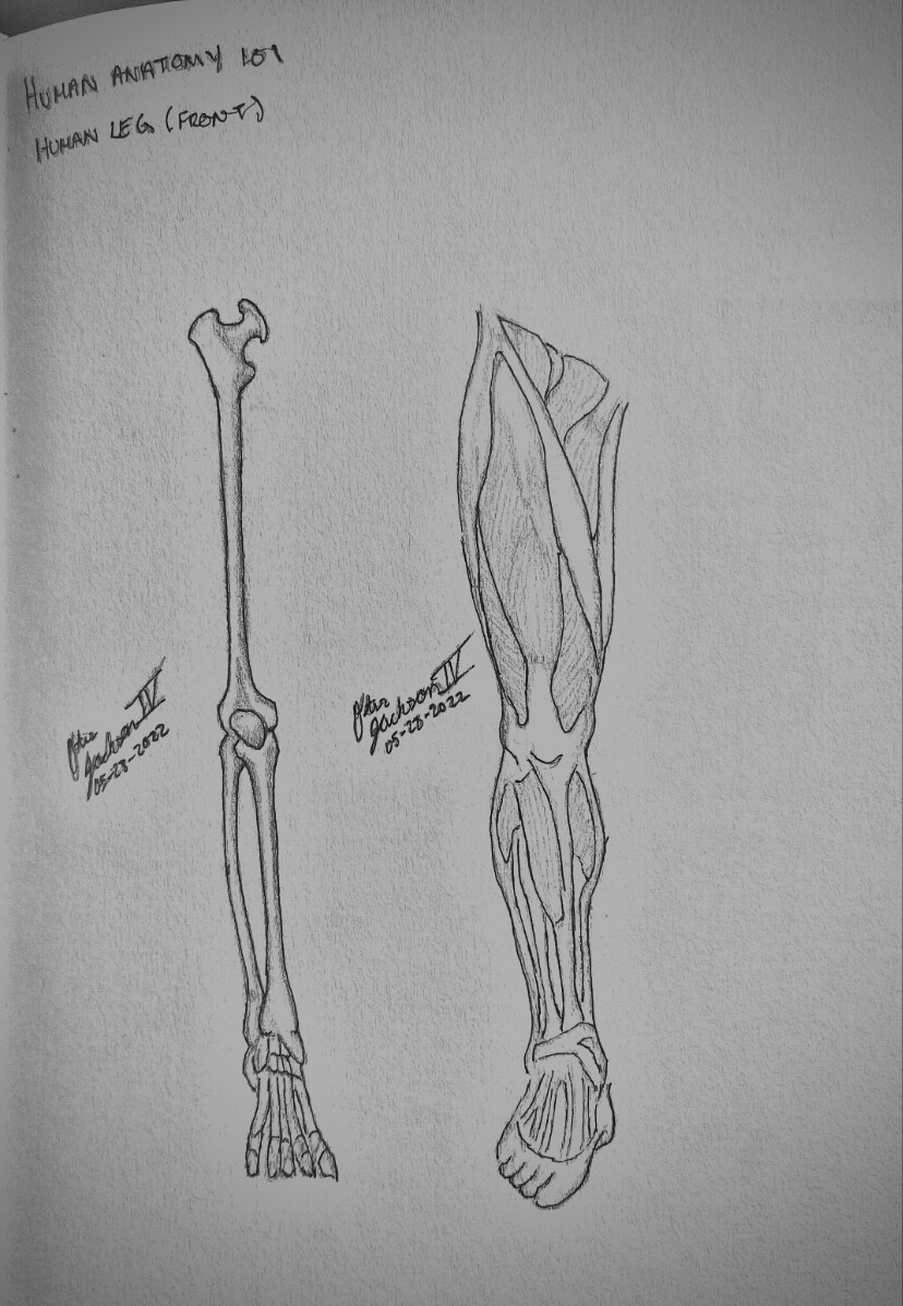 ArtStation - Sketch A12