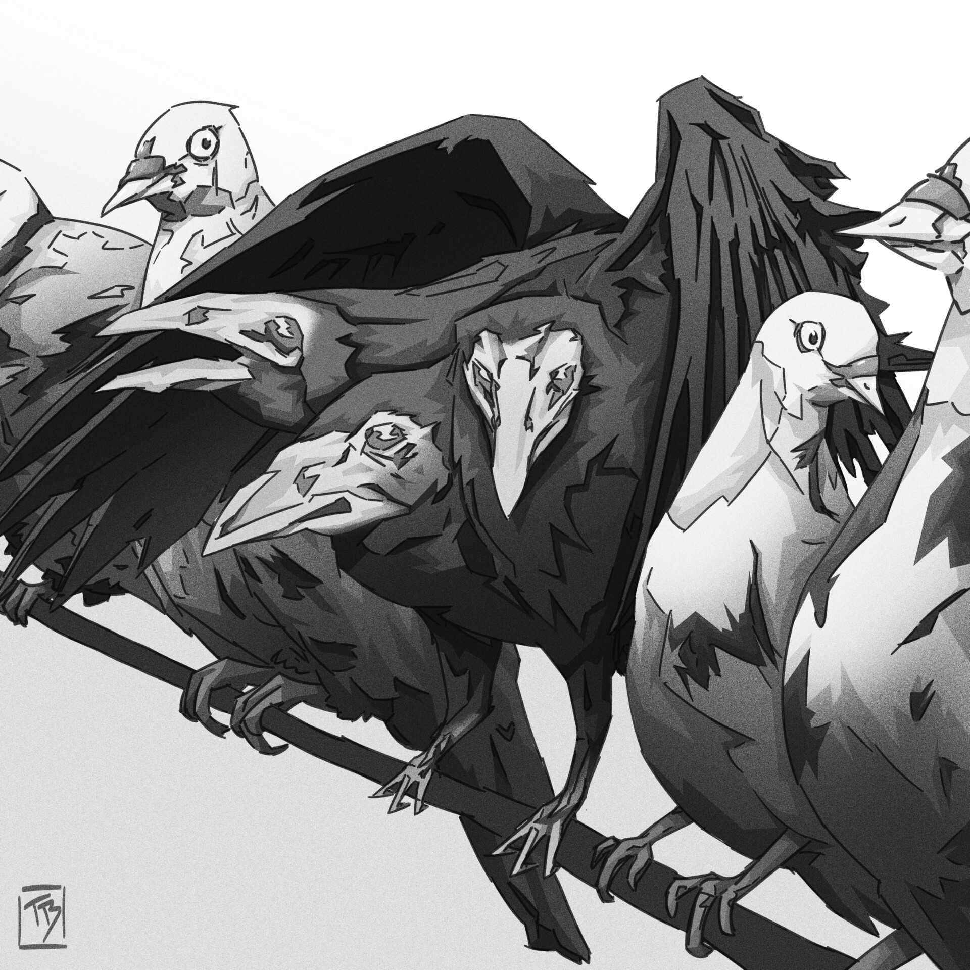 Tobiasz Brzeziński - Birds - 37 | 09.09.2022