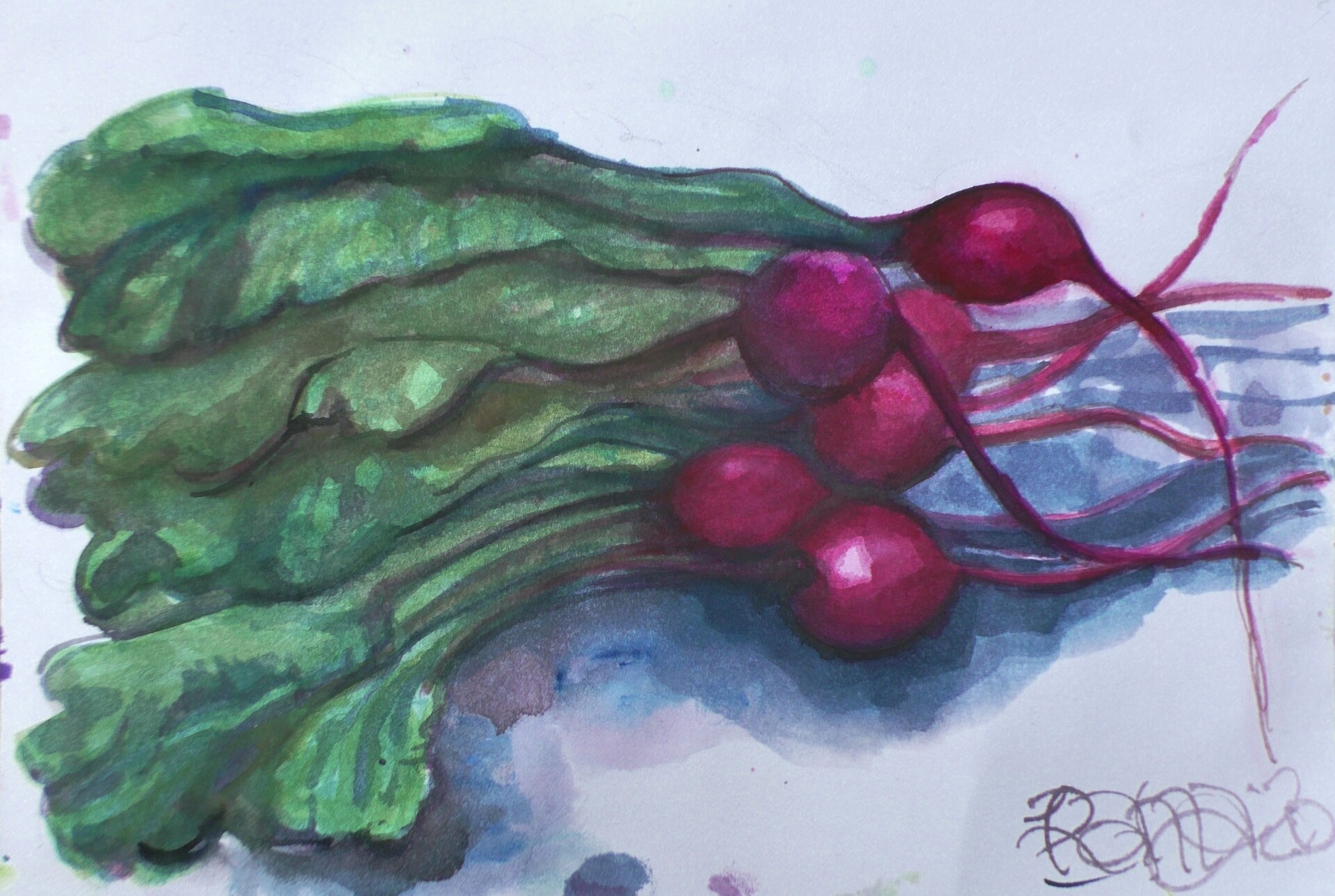 ArtStation - Radish.