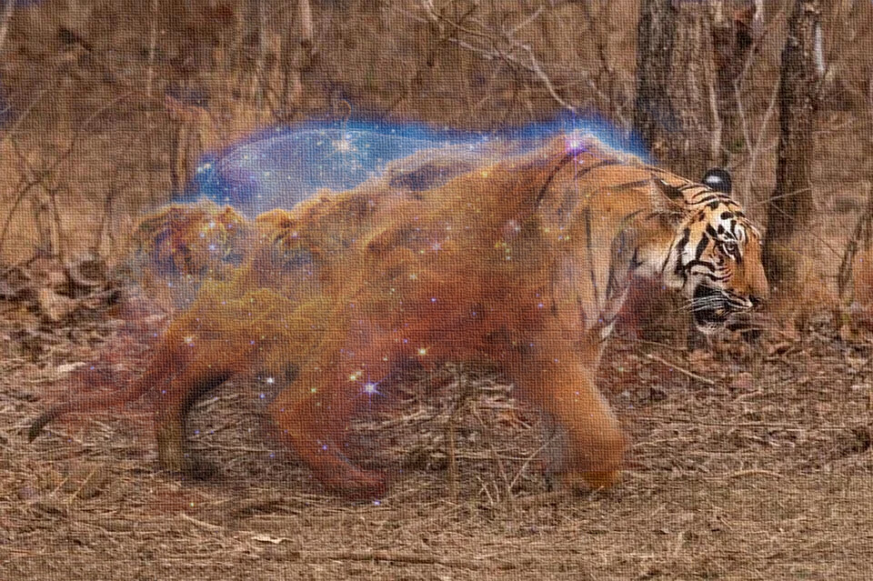 ArtStation - Cosmic Tiger