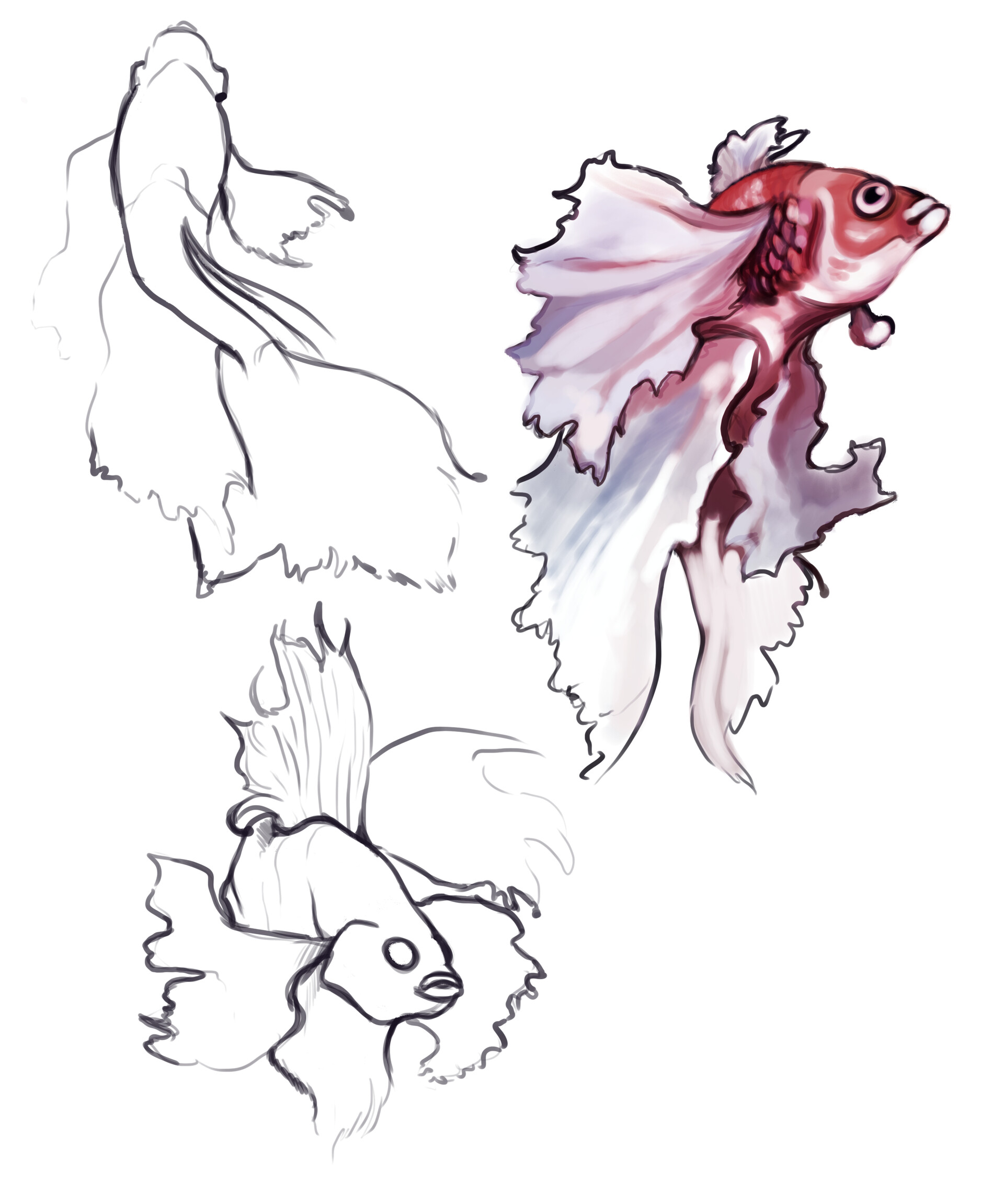 ArtStation - fish concept sketches