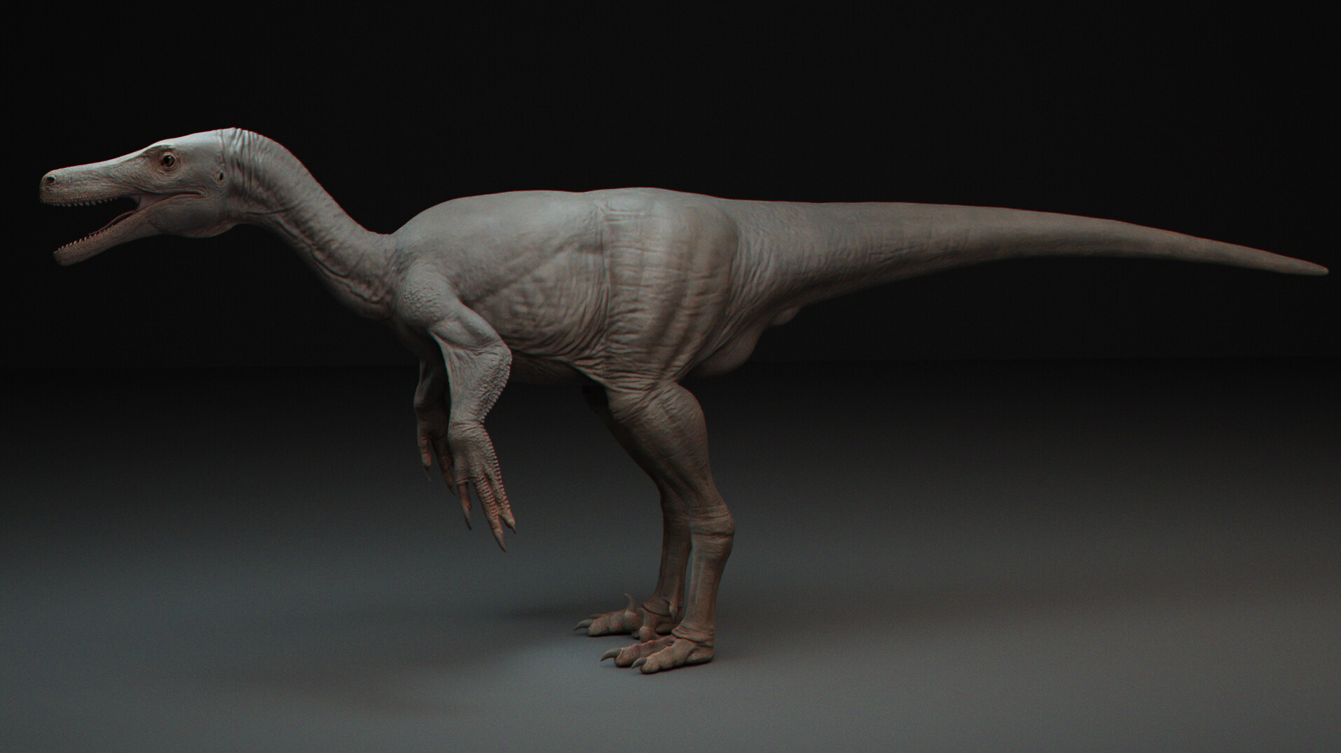 Ayla McIntyre - Adasaurus