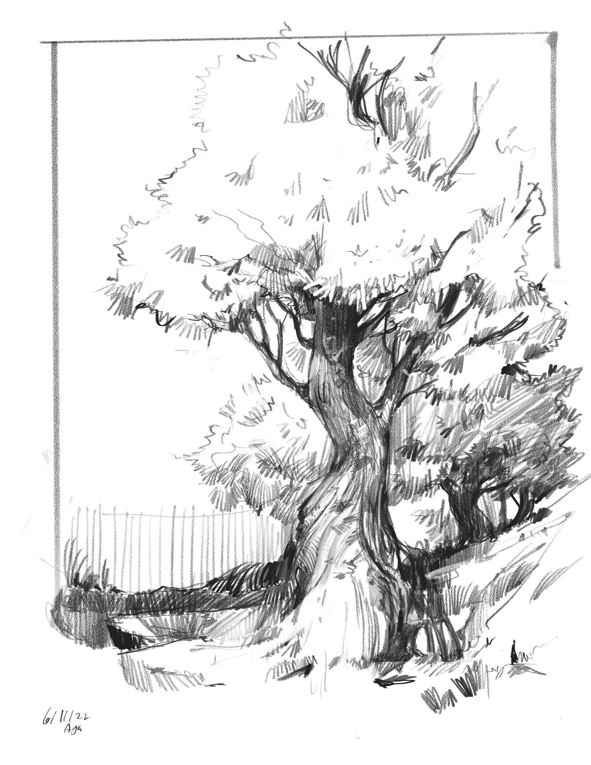 ArtStation - Tree- value study