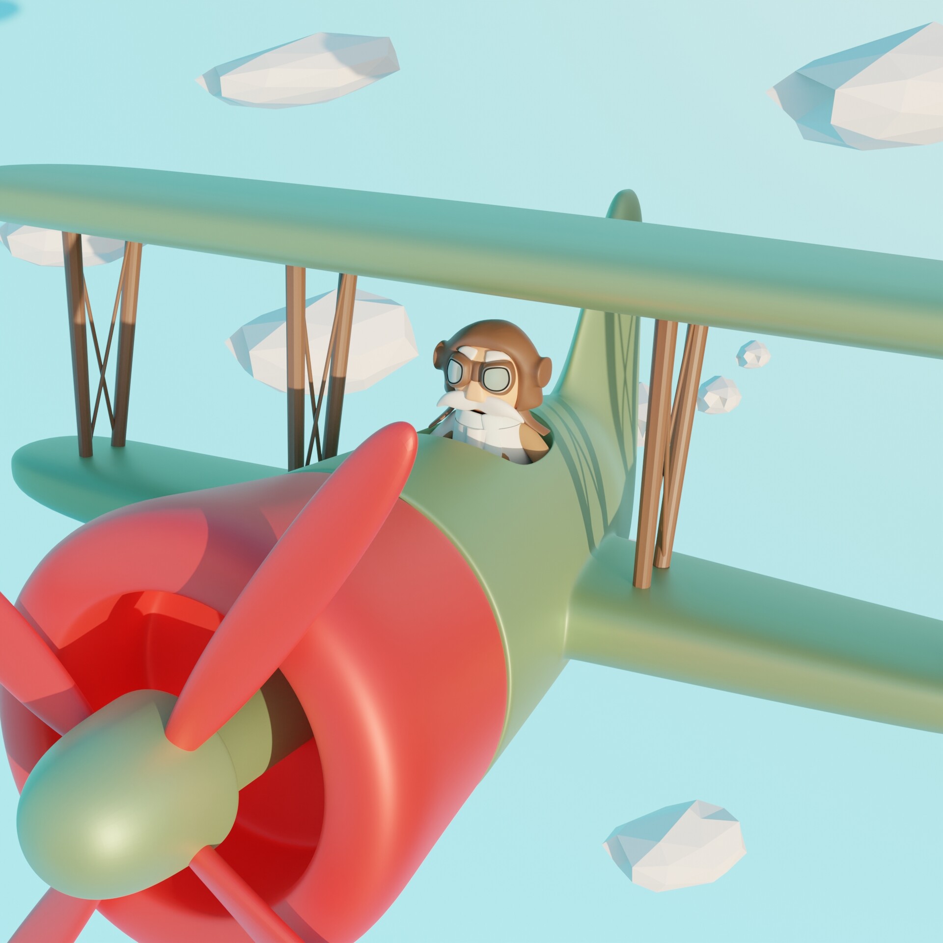 Francesca Volpi - Pilot flying on his plane