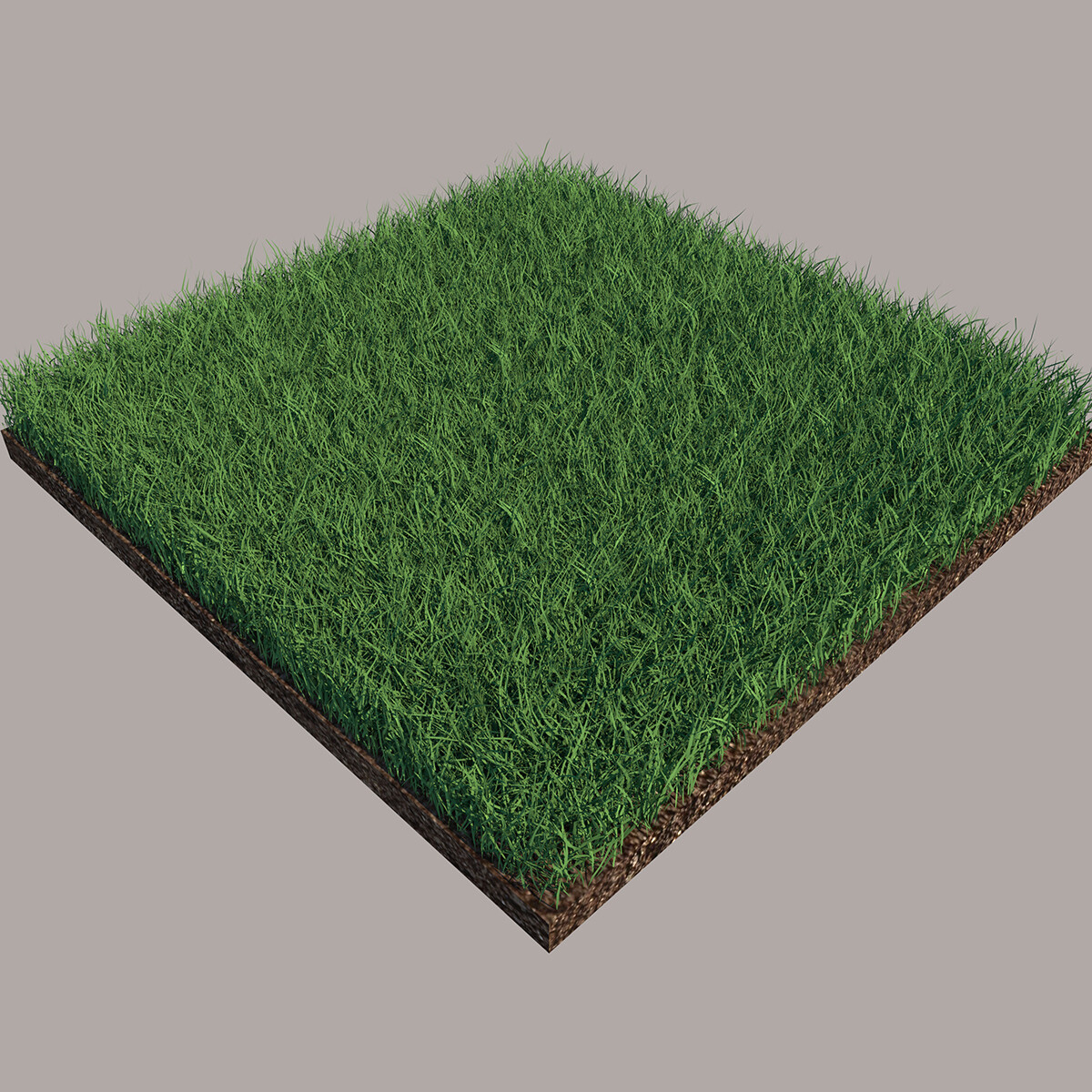ArtStation - Grass 3D Model
