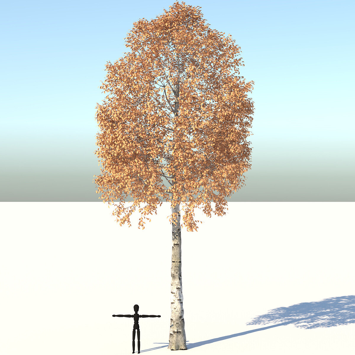 ArtStation - Aspen Tree 3D Model