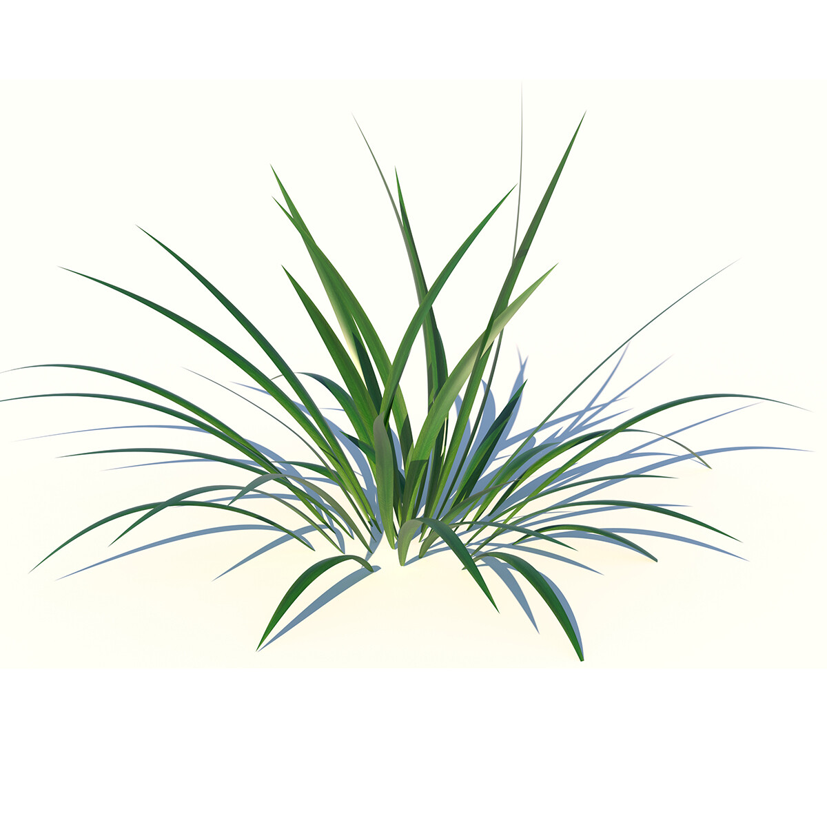ArtStation - Grass 3D Model