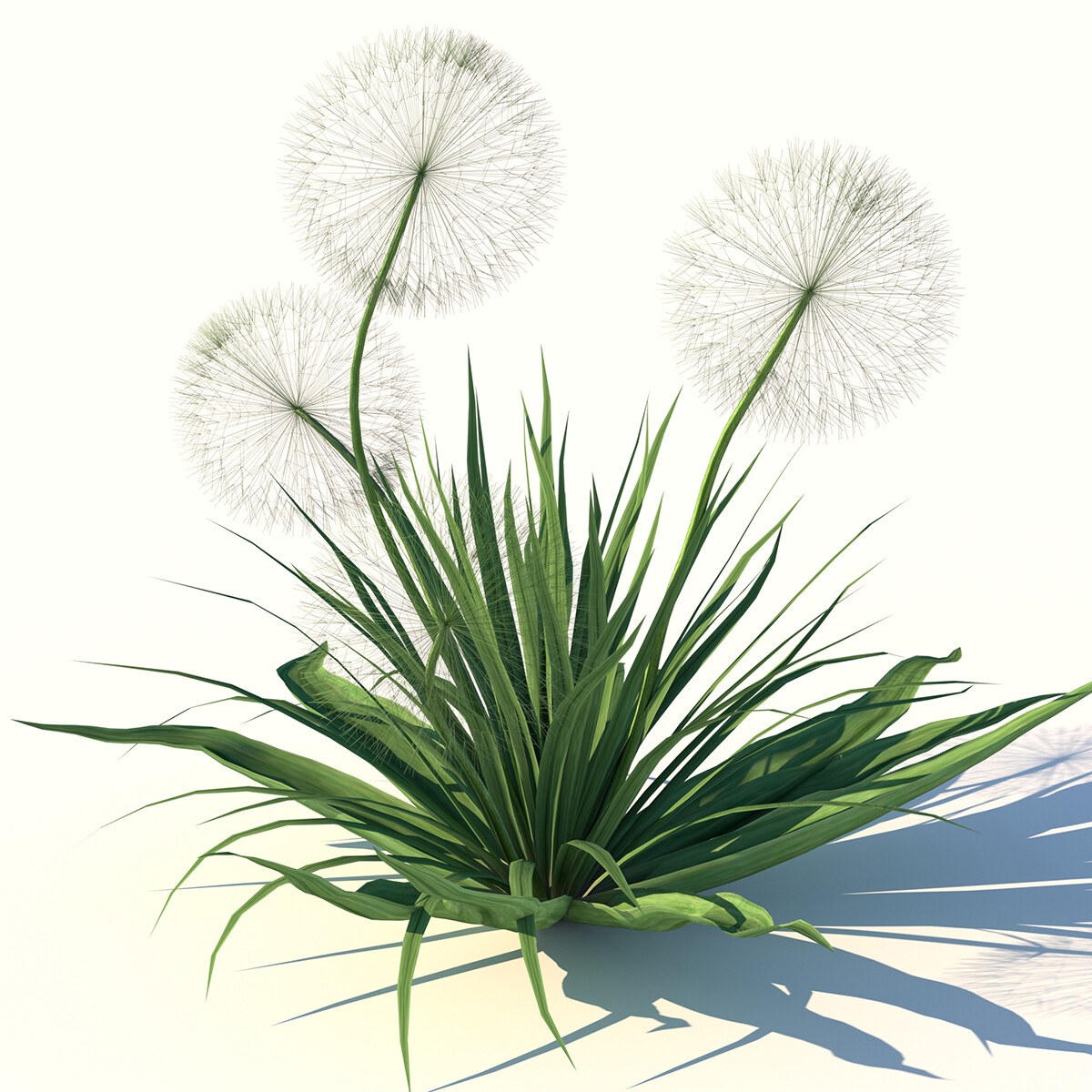 3d dandelion