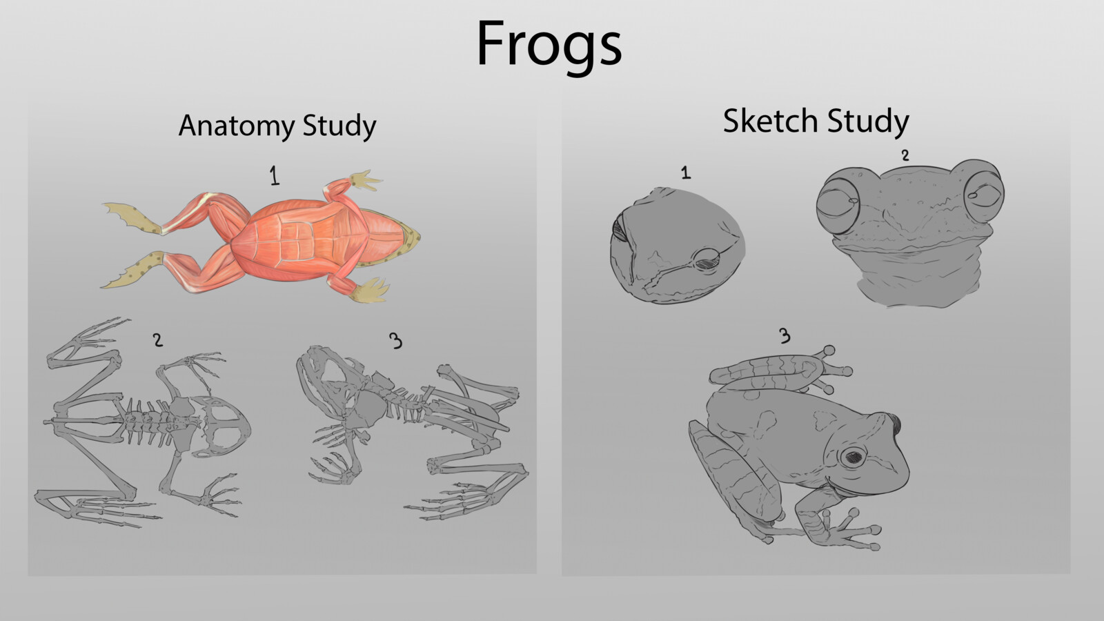 Francesco Rivetti - Flying Frog