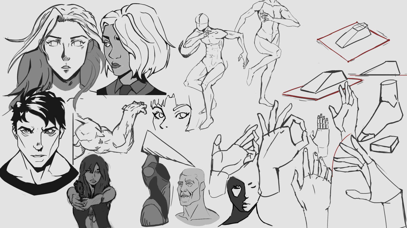 Anas Karimo - Anatomy studies