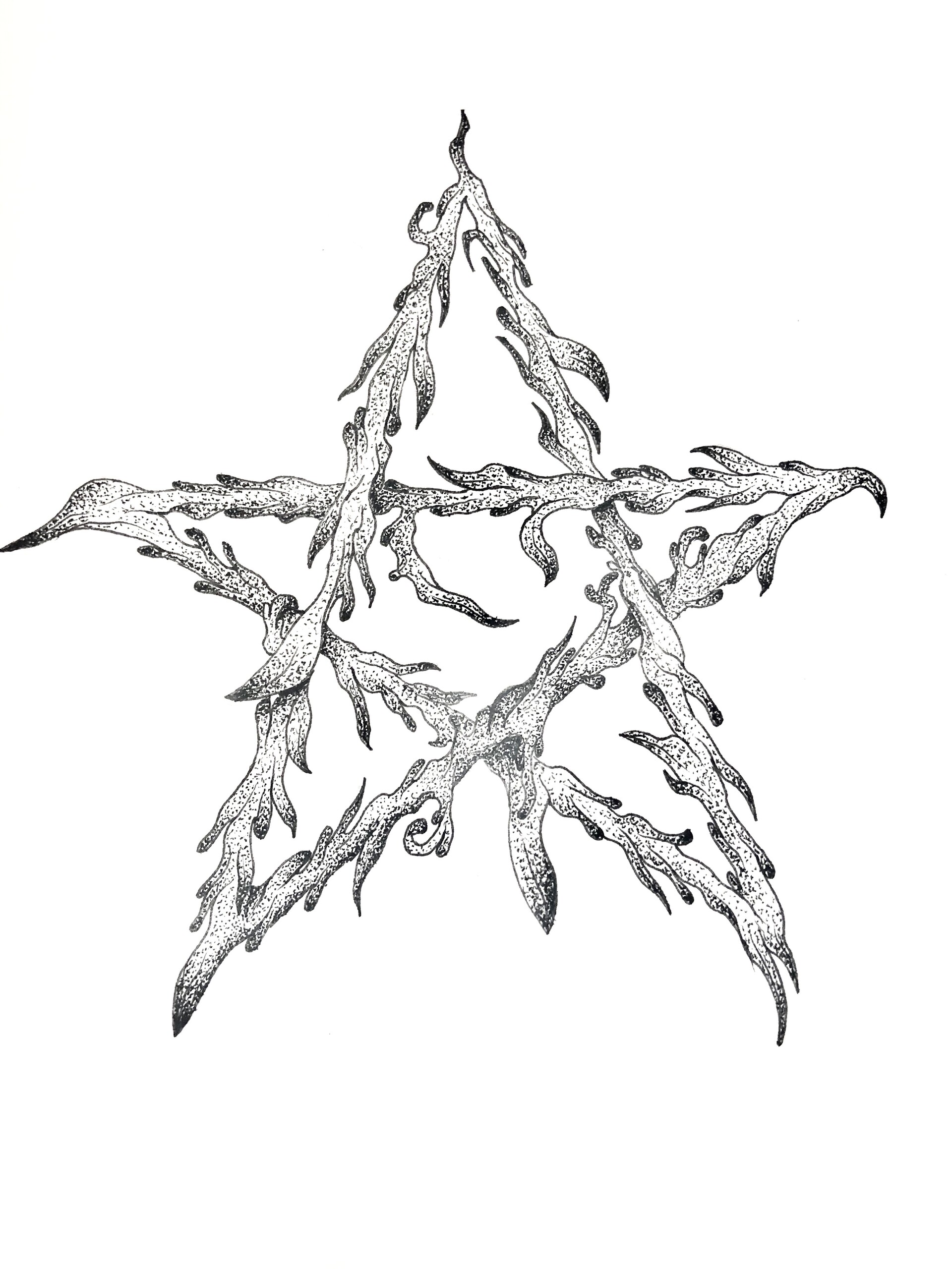 ArtStation - Pentagram - Natural