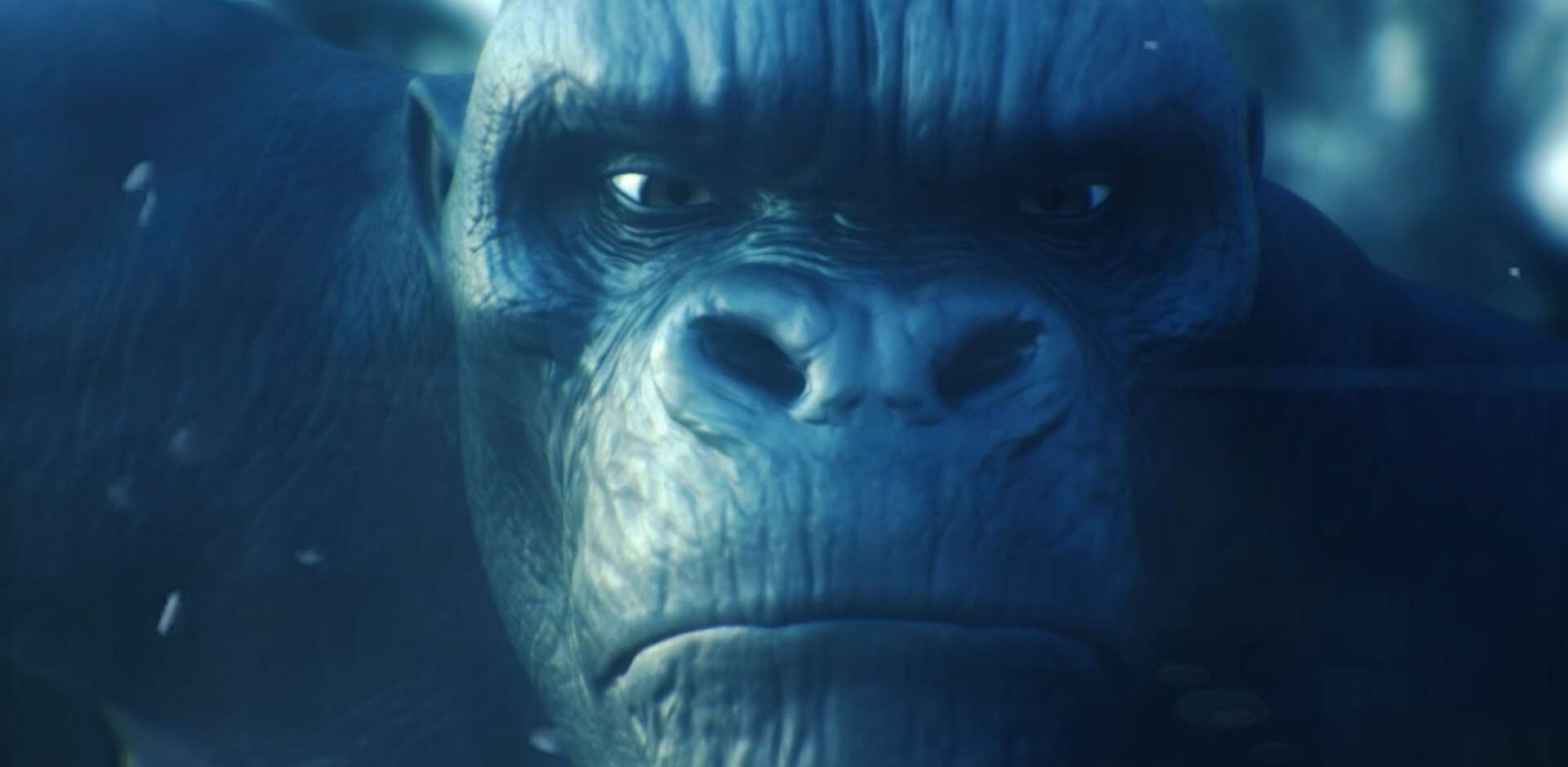 ArtStation - Kong 3D Animation