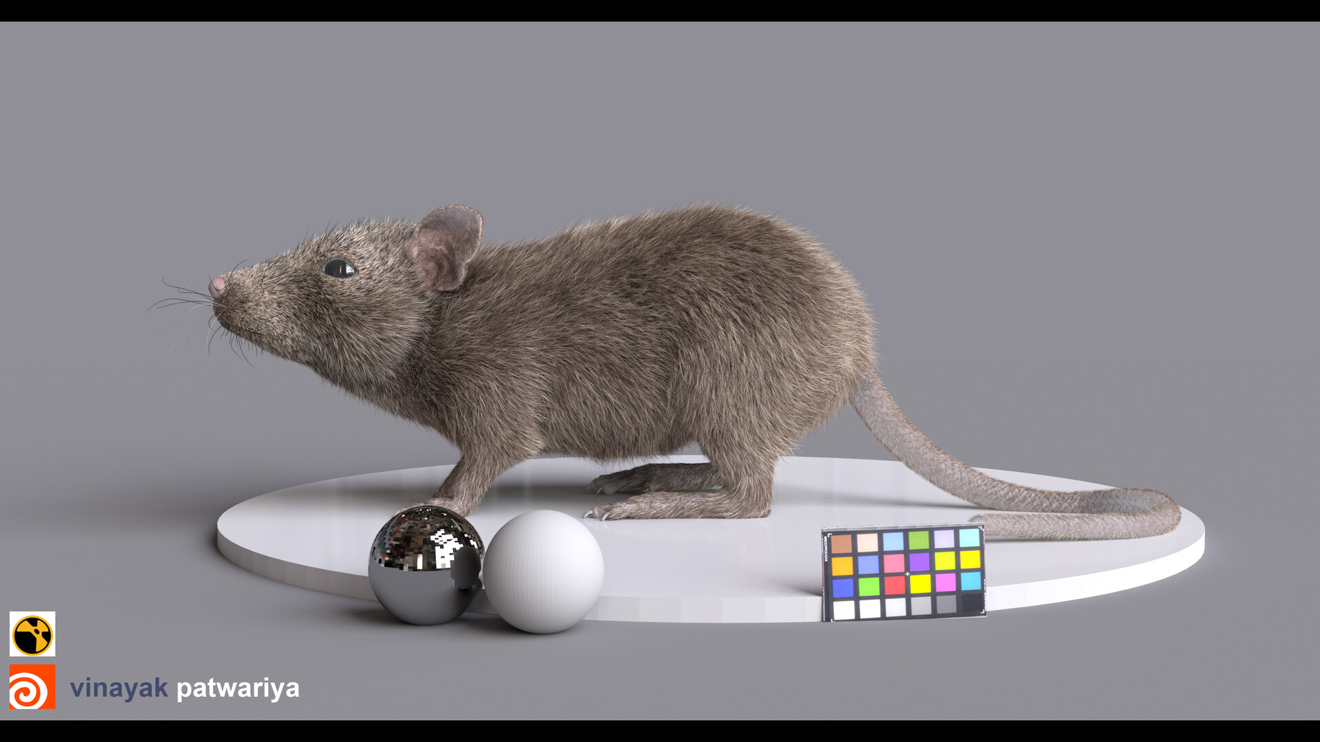 vinayak patwariya - rat