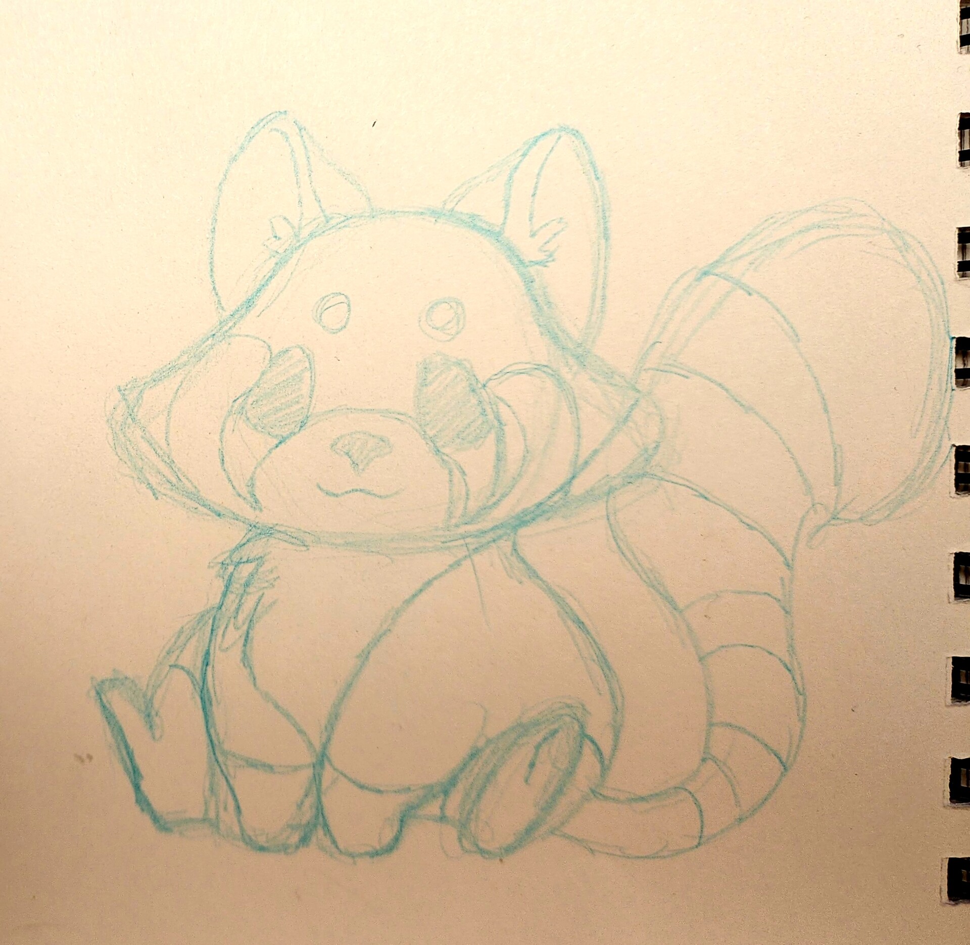 Red Panda Drawing Chibi
