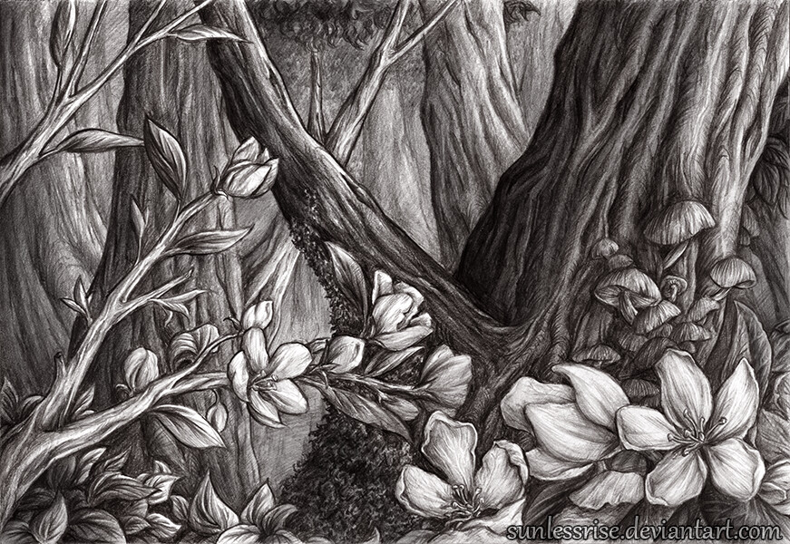 forest drawing ideas