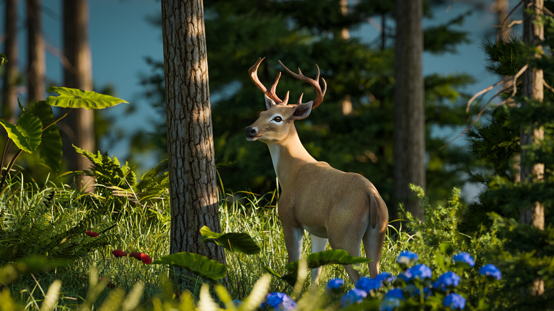 Mainak Mandal - Nature's womb and grace.