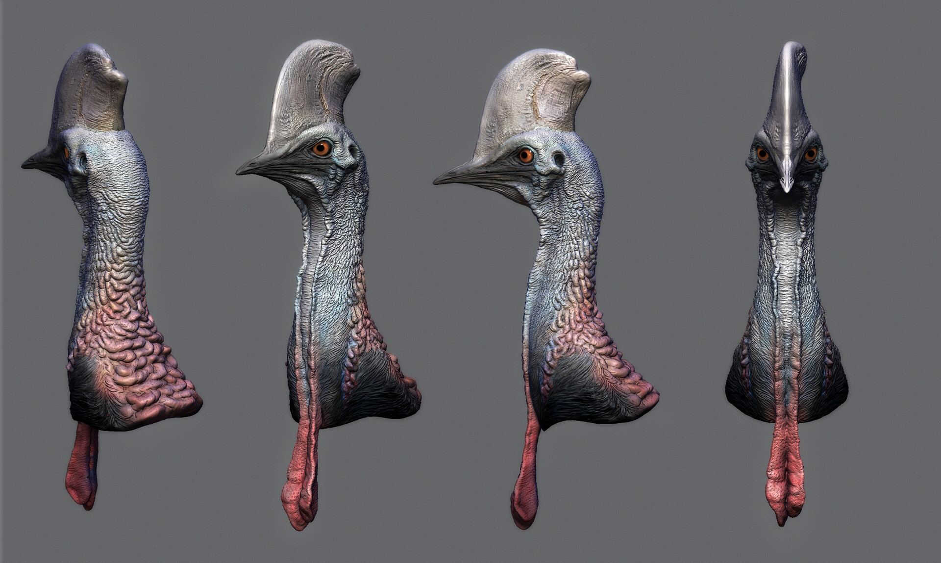 ArtStation - "Cassowary" the Living fossil