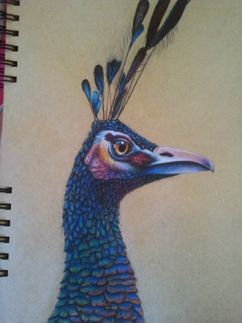 ArtStation - Realism colour study 2015