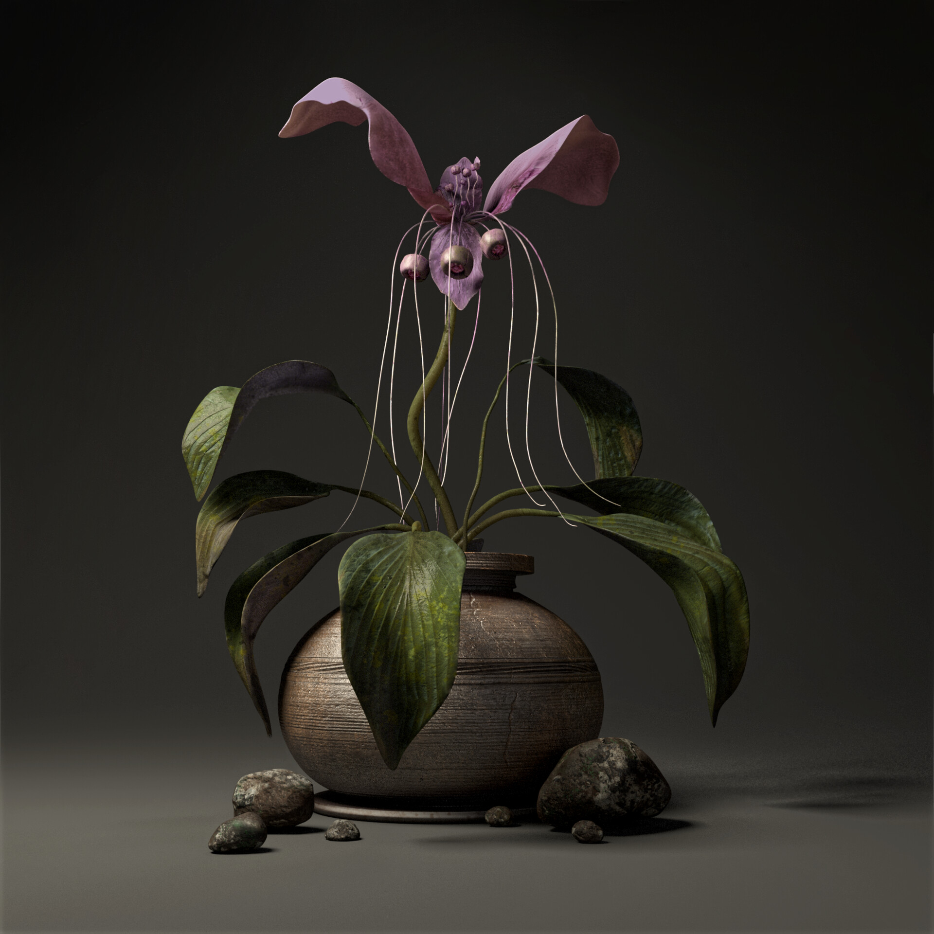 ArtStation - The White Bat Flower