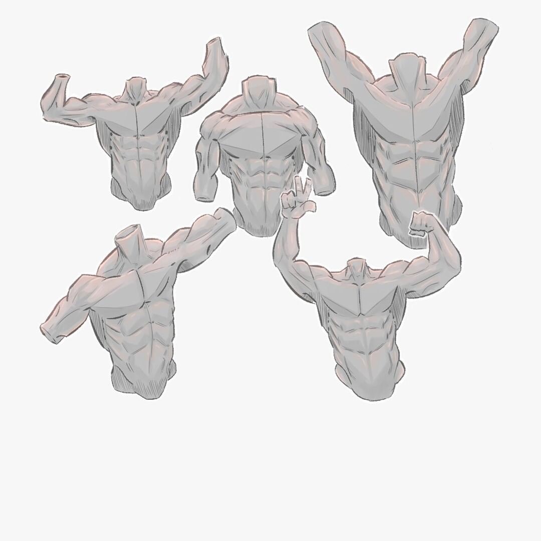 ArtStation - Anatomy Study