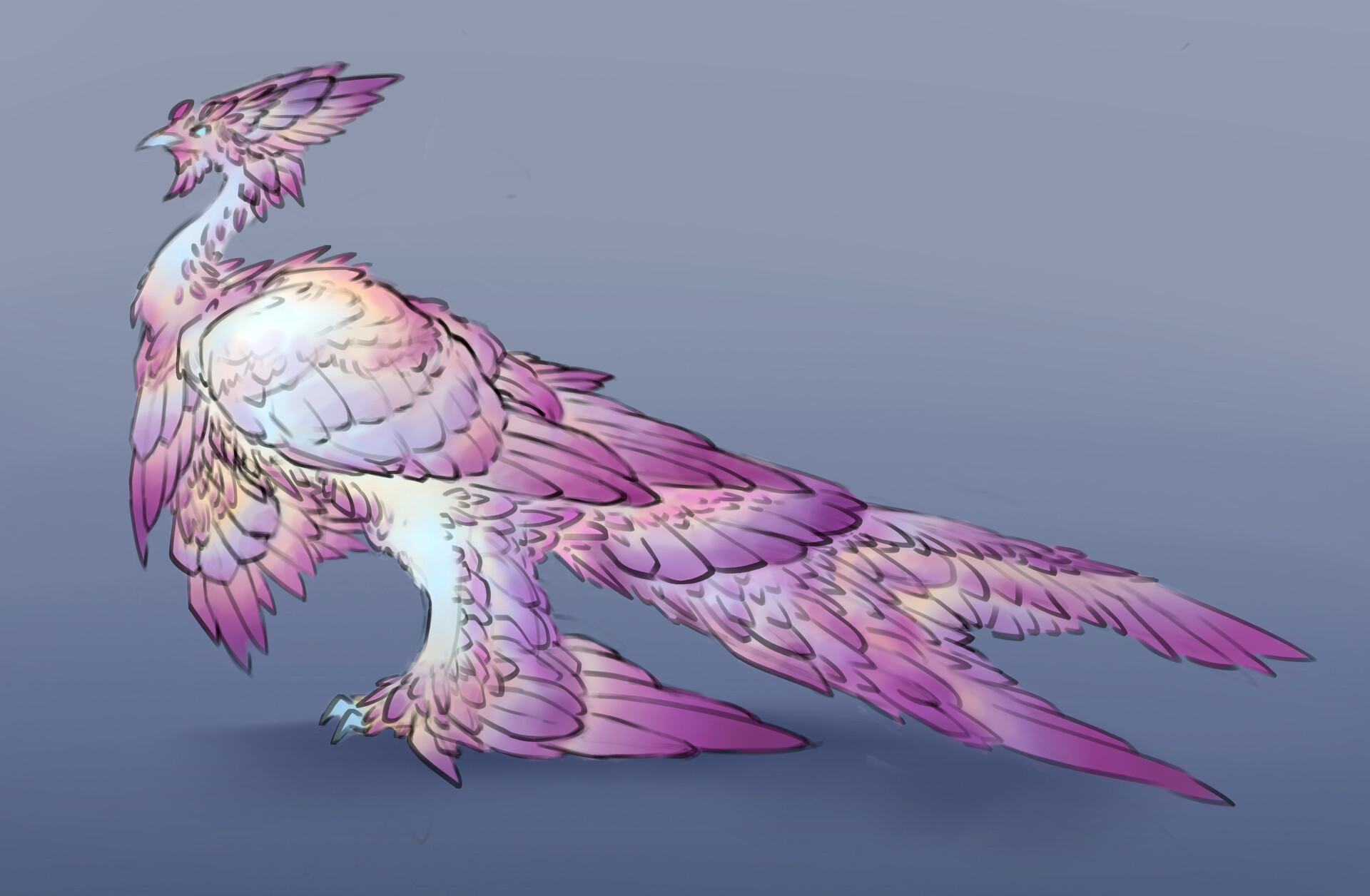 ArtStation - Bird Creature Sketch