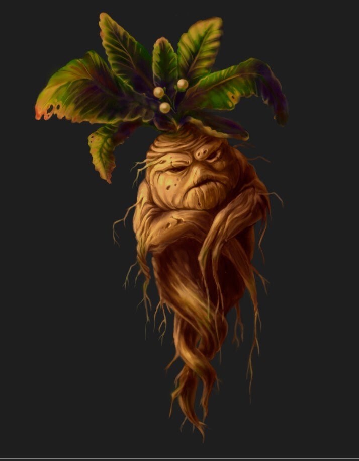 ArtStation - Mandrake root
