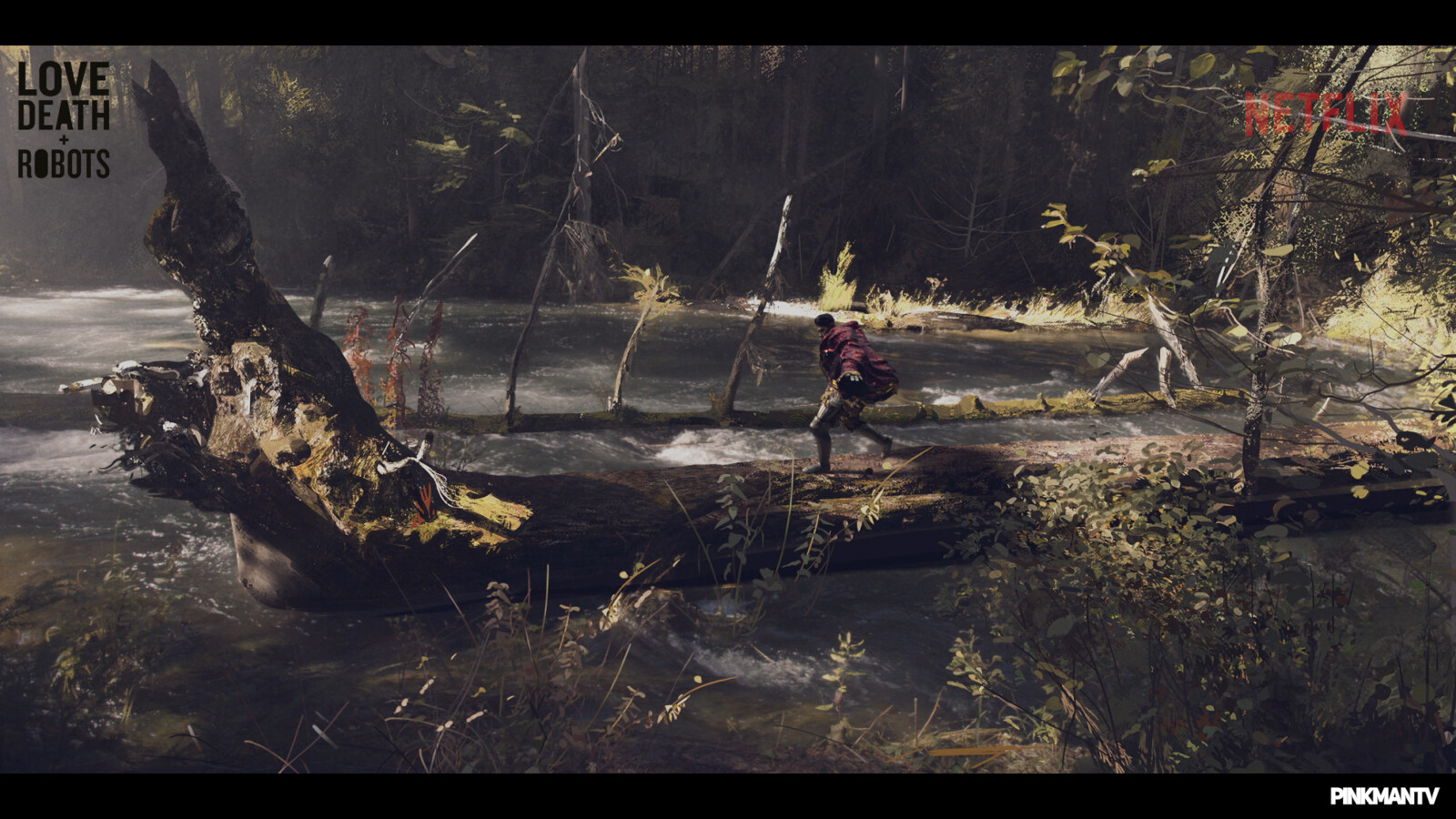 Ismael Marquez - Jibaro environments