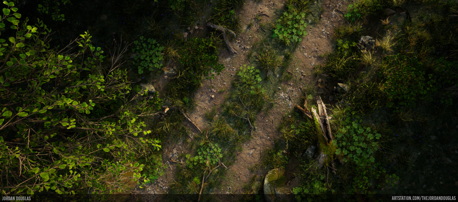 jordan-douglas-2.jpg (1920×847)-花瓣网