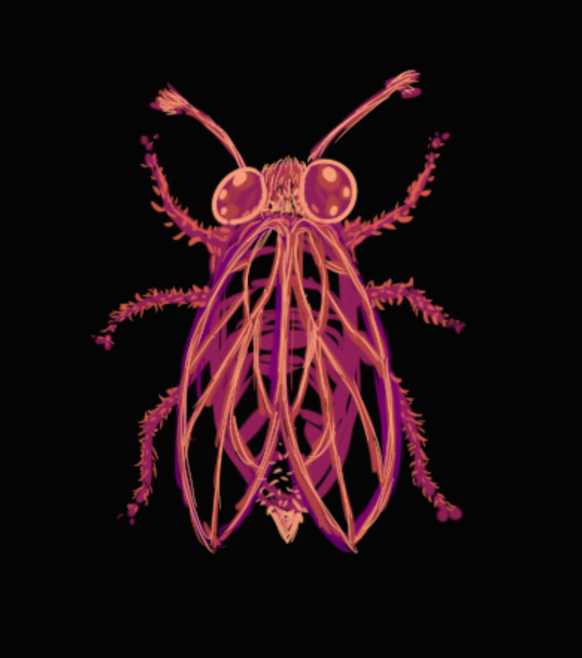 ArtStation - Bug Study