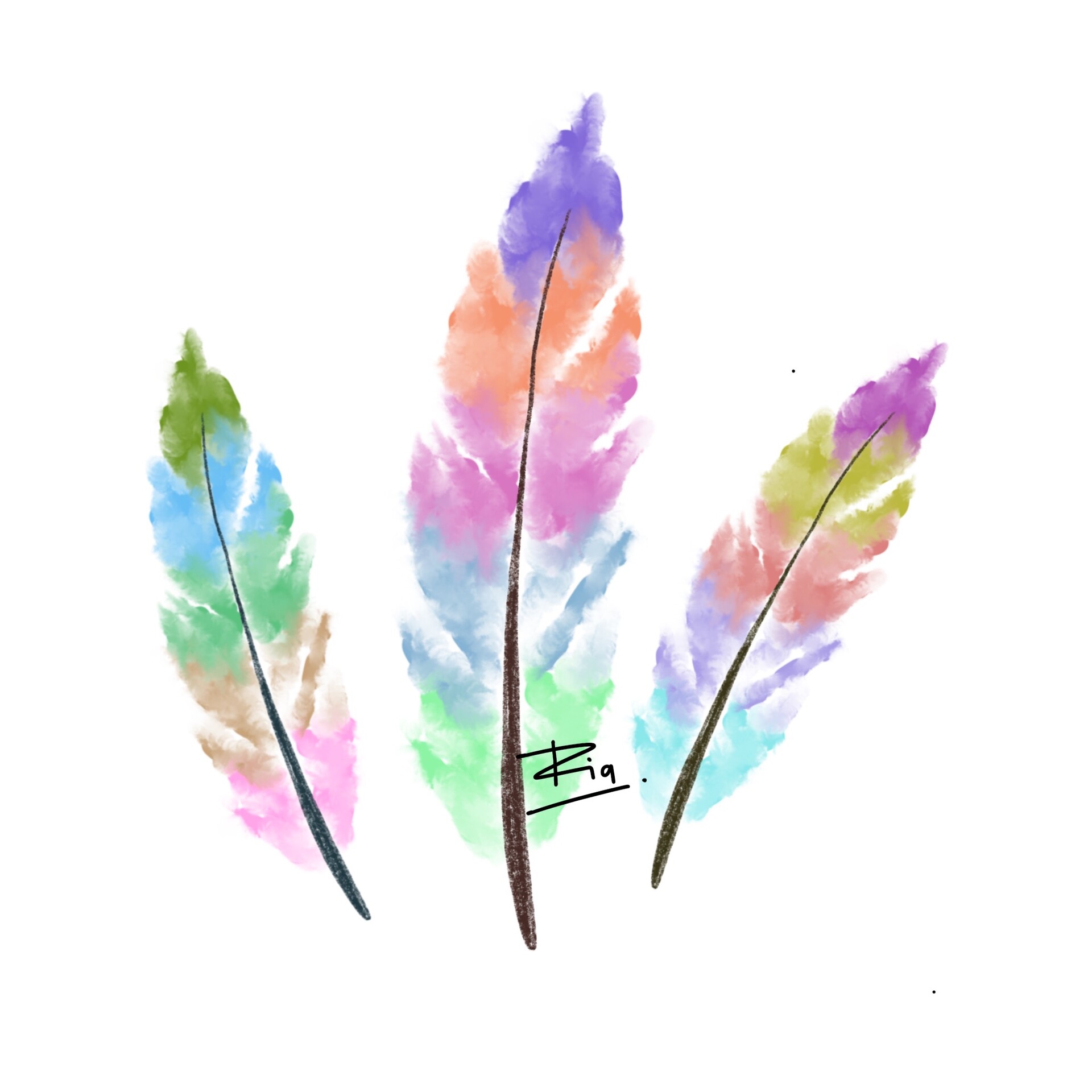 ArtStation - Feathers illustration