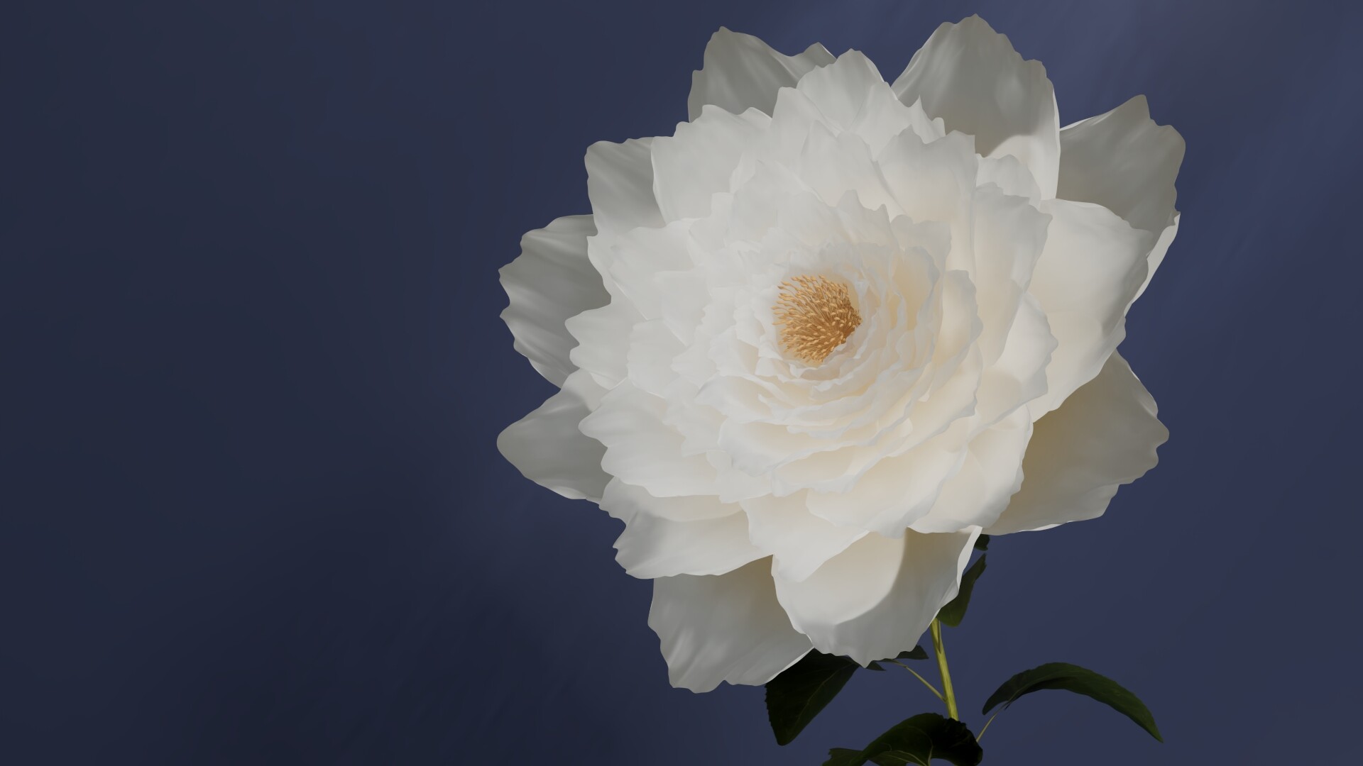 ArtStation - Procedure flower blooming test