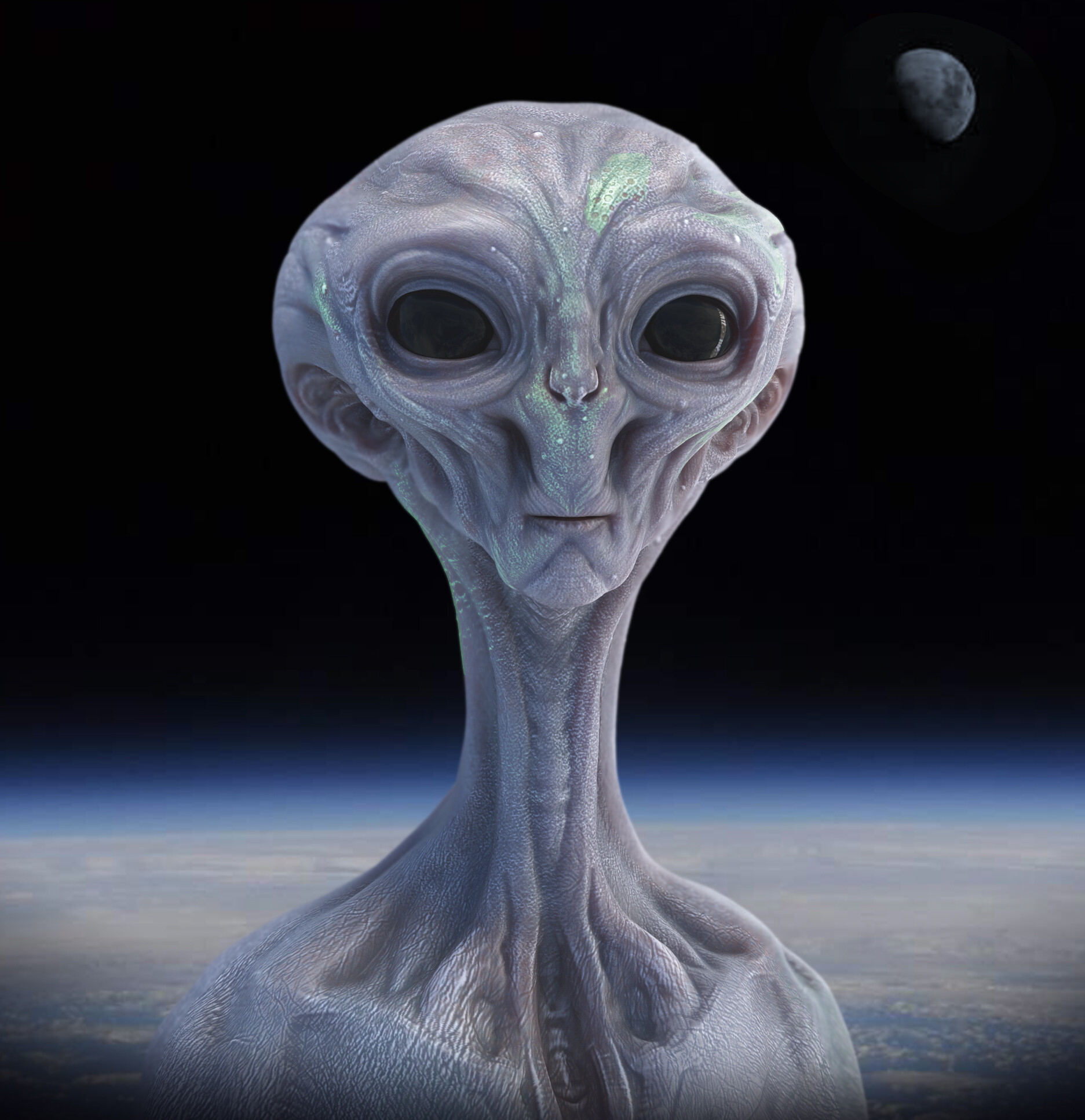 ArtStation - Alien Grey Concept Sketch