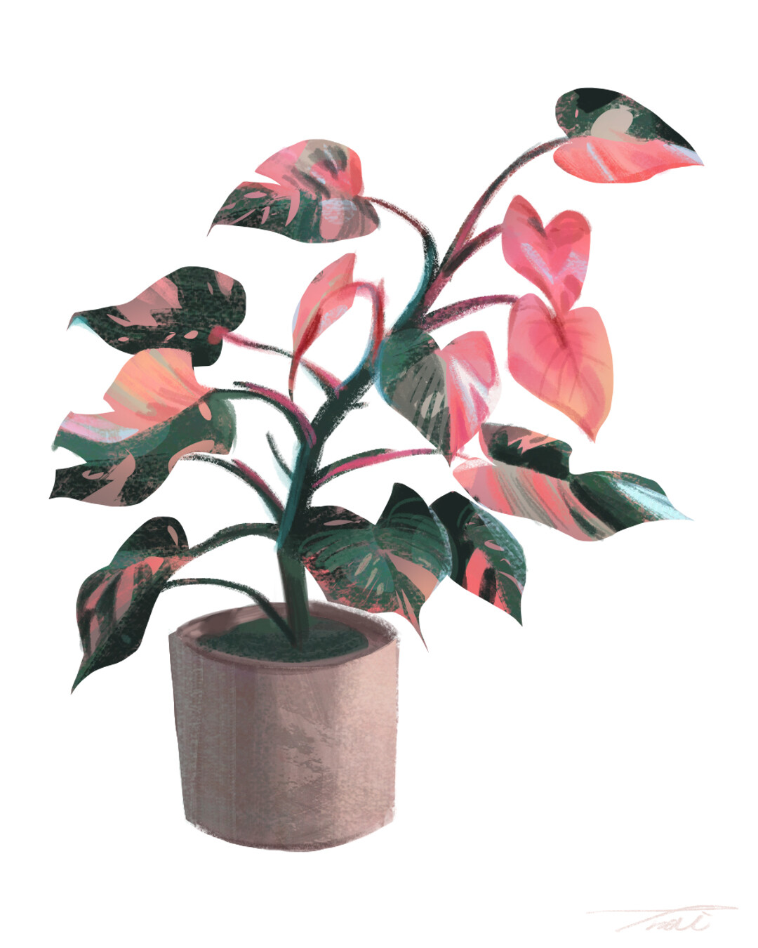 ArtStation - Plants studies