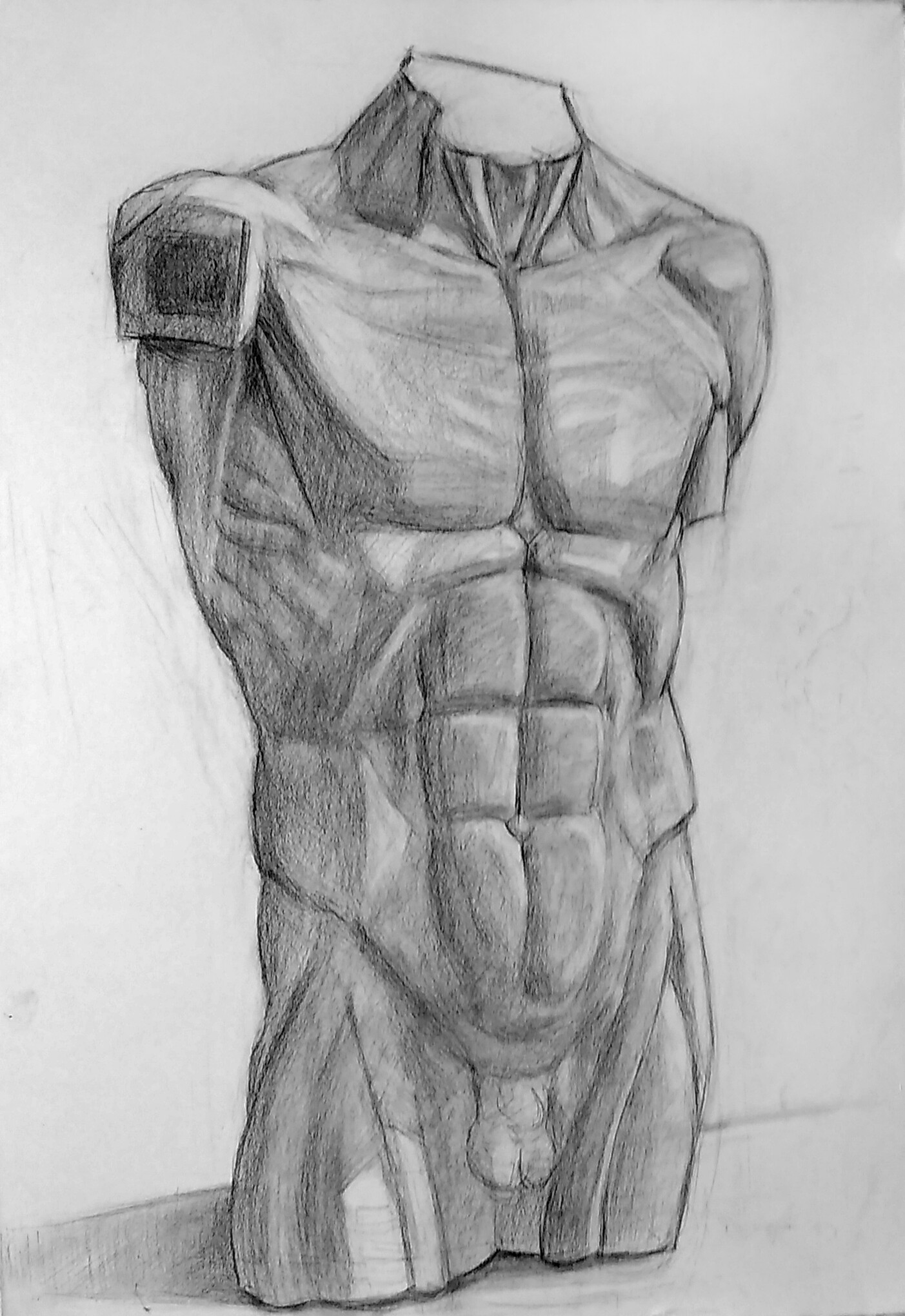 ArtStation - Cast Torso Study
