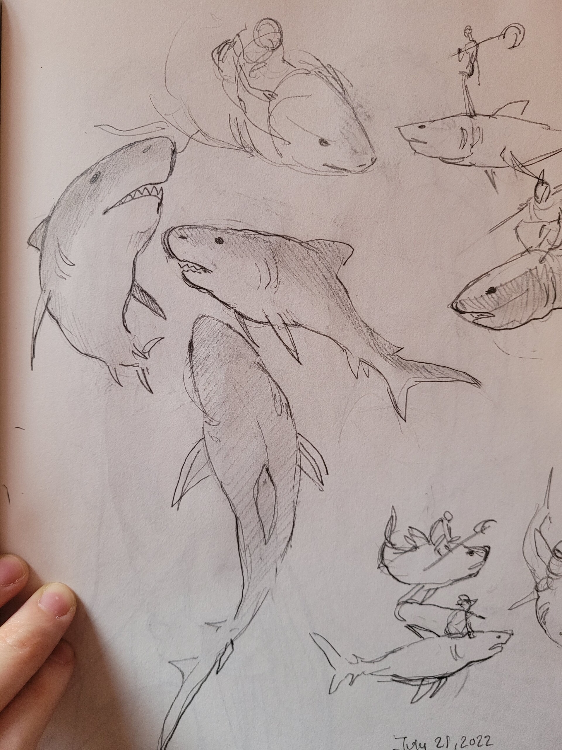 Shannon Nichols - Checkpoint (Shark Warrior Concept Piece)