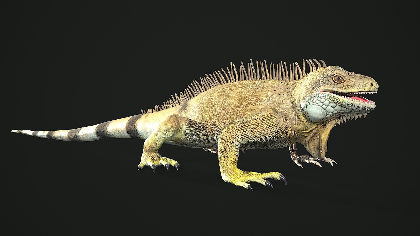 Sergey Egelsky - Iguana Skeleton