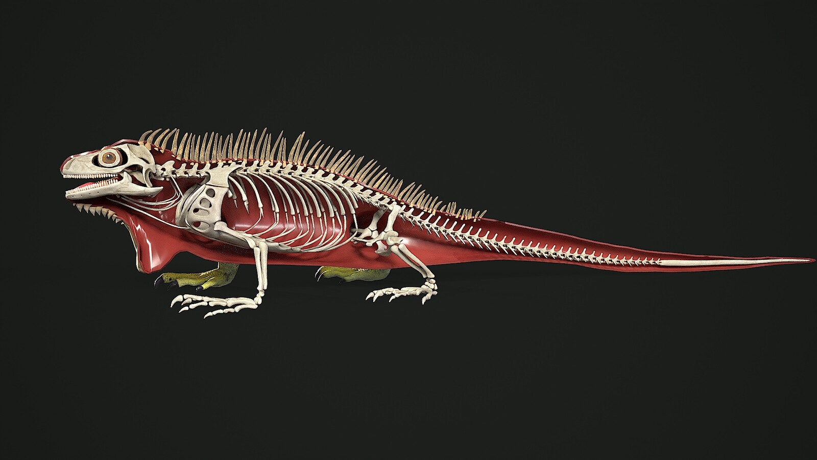 Sergey Egelsky - Iguana Skeleton